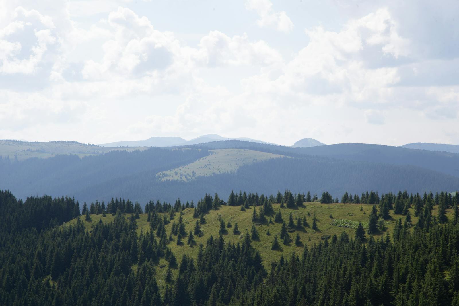 Rolling Eyes Photos, Download The BEST Free Rolling Eyes Stock Photos ...