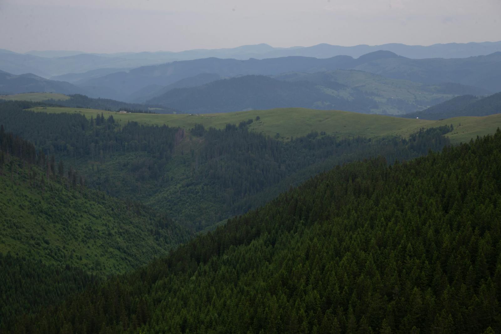 Green Hills Photos, Download The BEST Free Green Hills Stock Photos ...