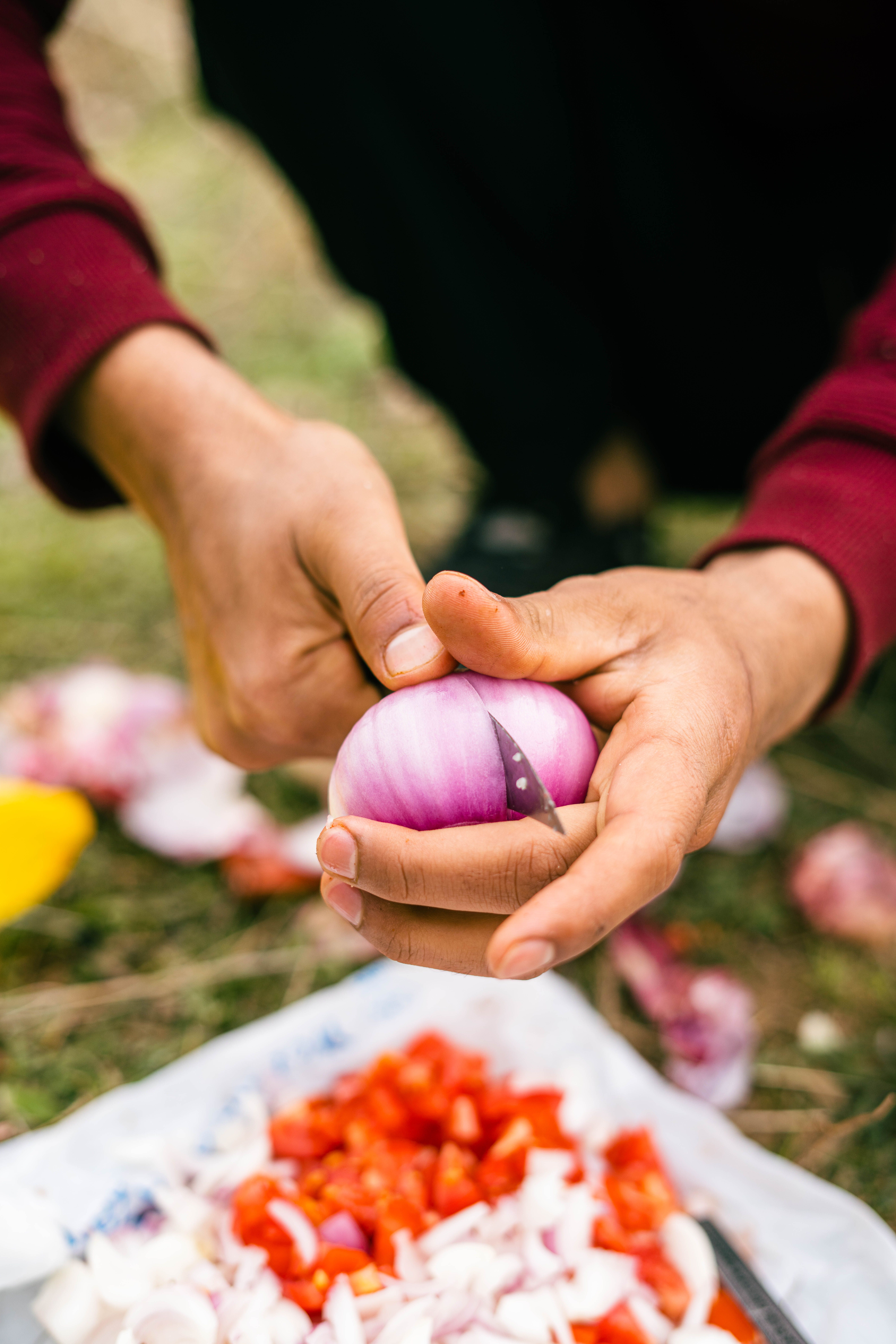 Cutting Onion with Knife · Free Stock Photo