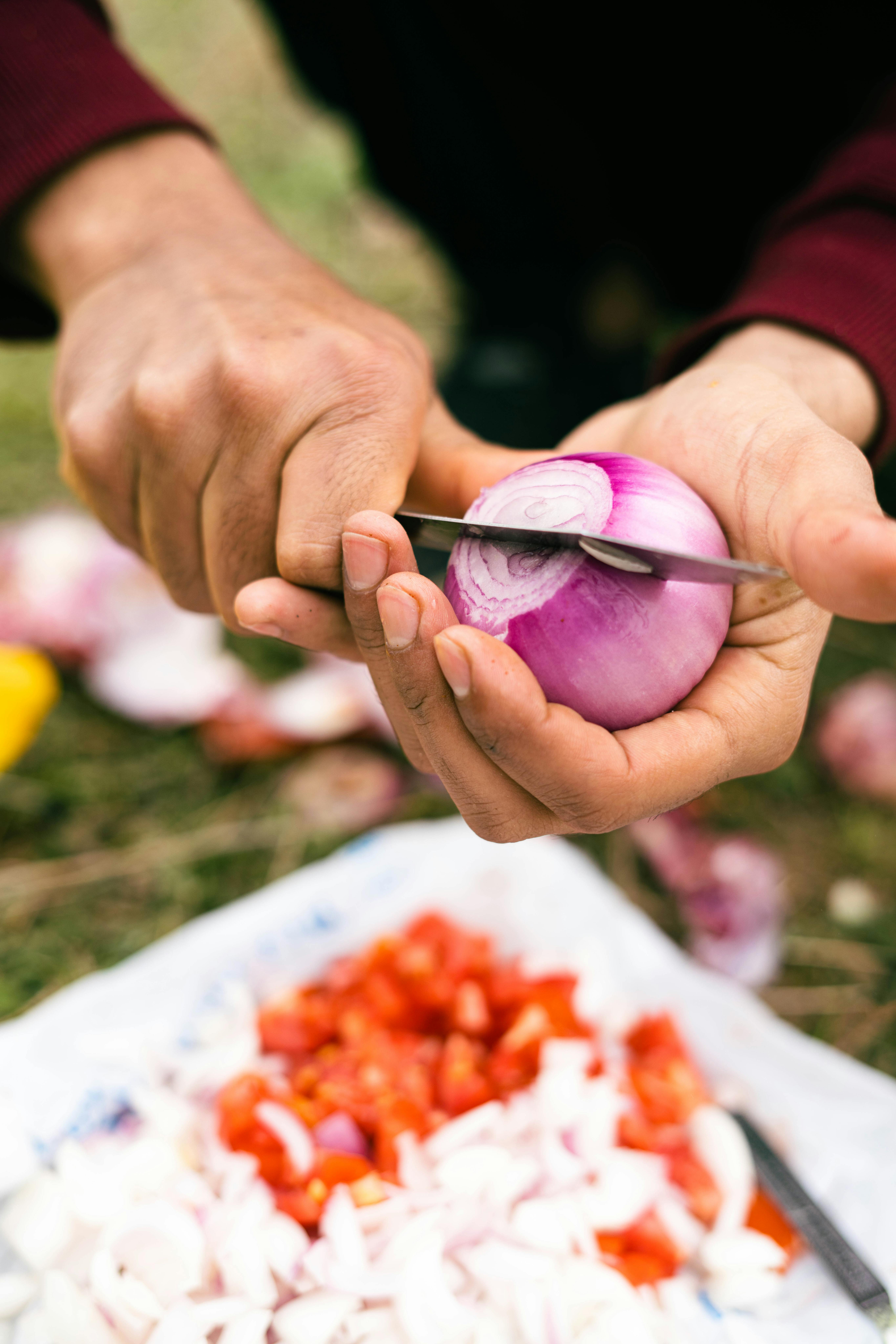 Cutting Onion Indian Photos, Download The BEST Free Cutting Onion ...