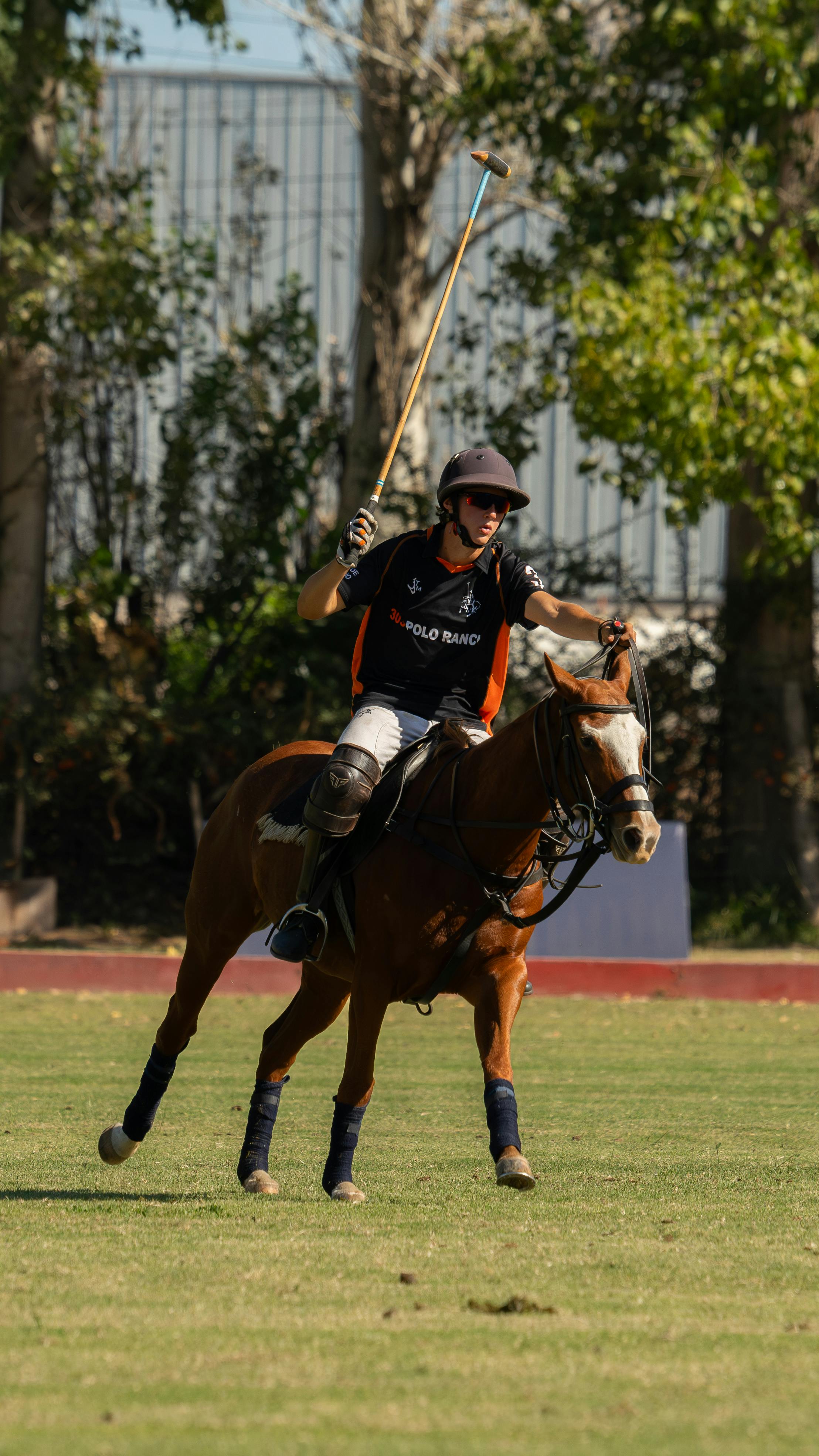 Polo Stick Photos, Download The BEST Free Polo Stick Stock Photos & HD ...