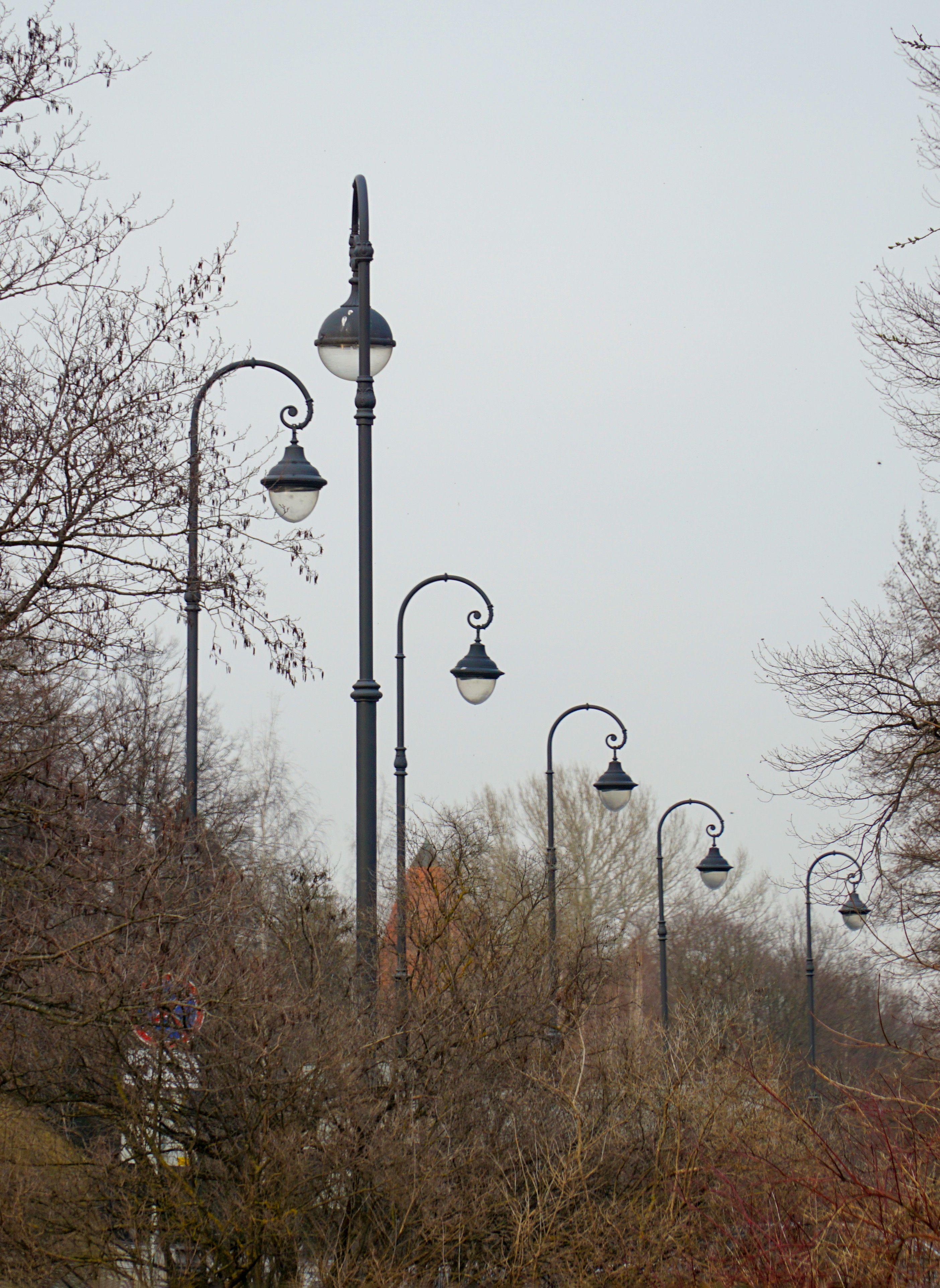 Street Lamps in Park in Winter · Free Stock Photo