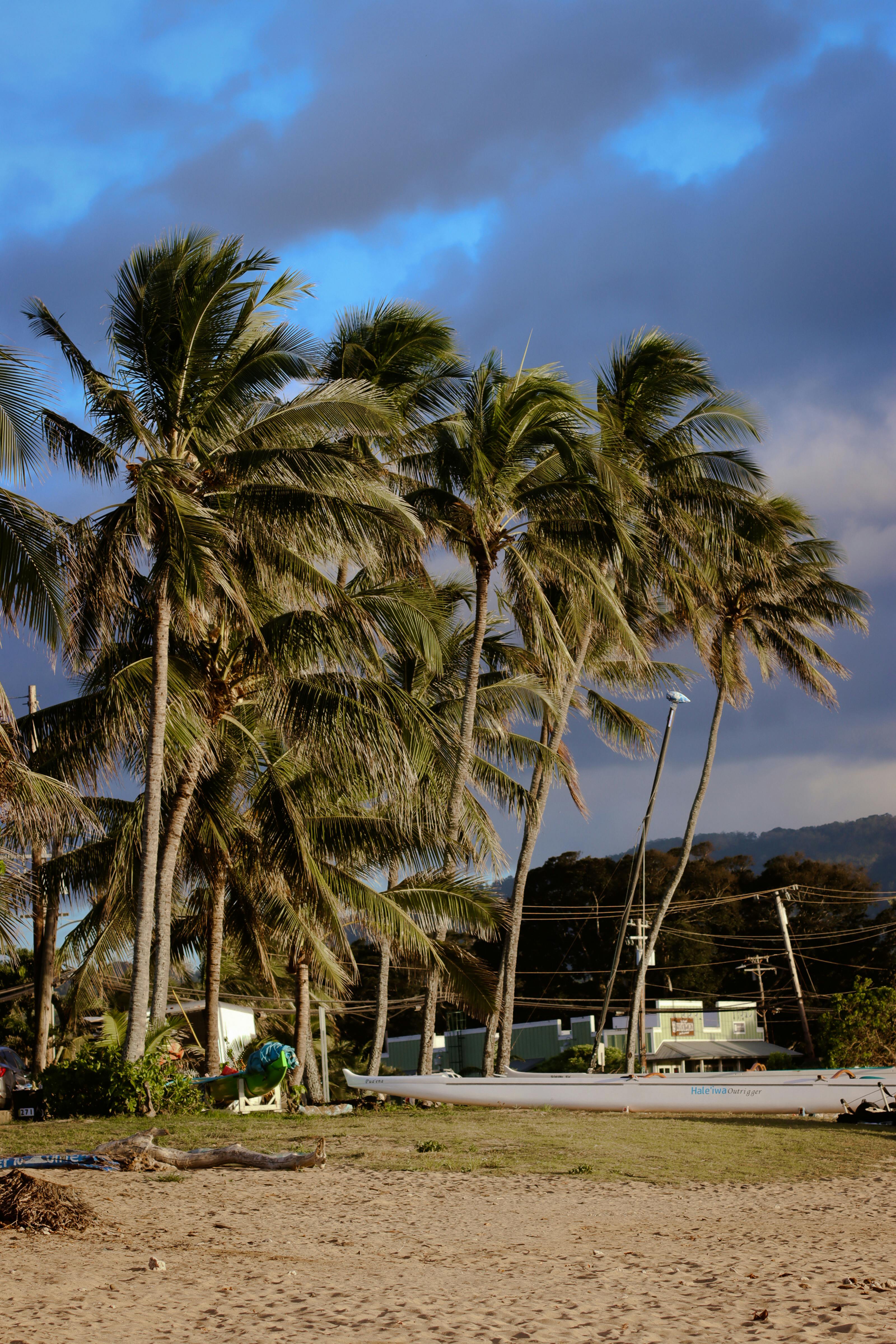 Yas Island Abu Dhabi Photos, Download The BEST Free Yas Island Abu ...