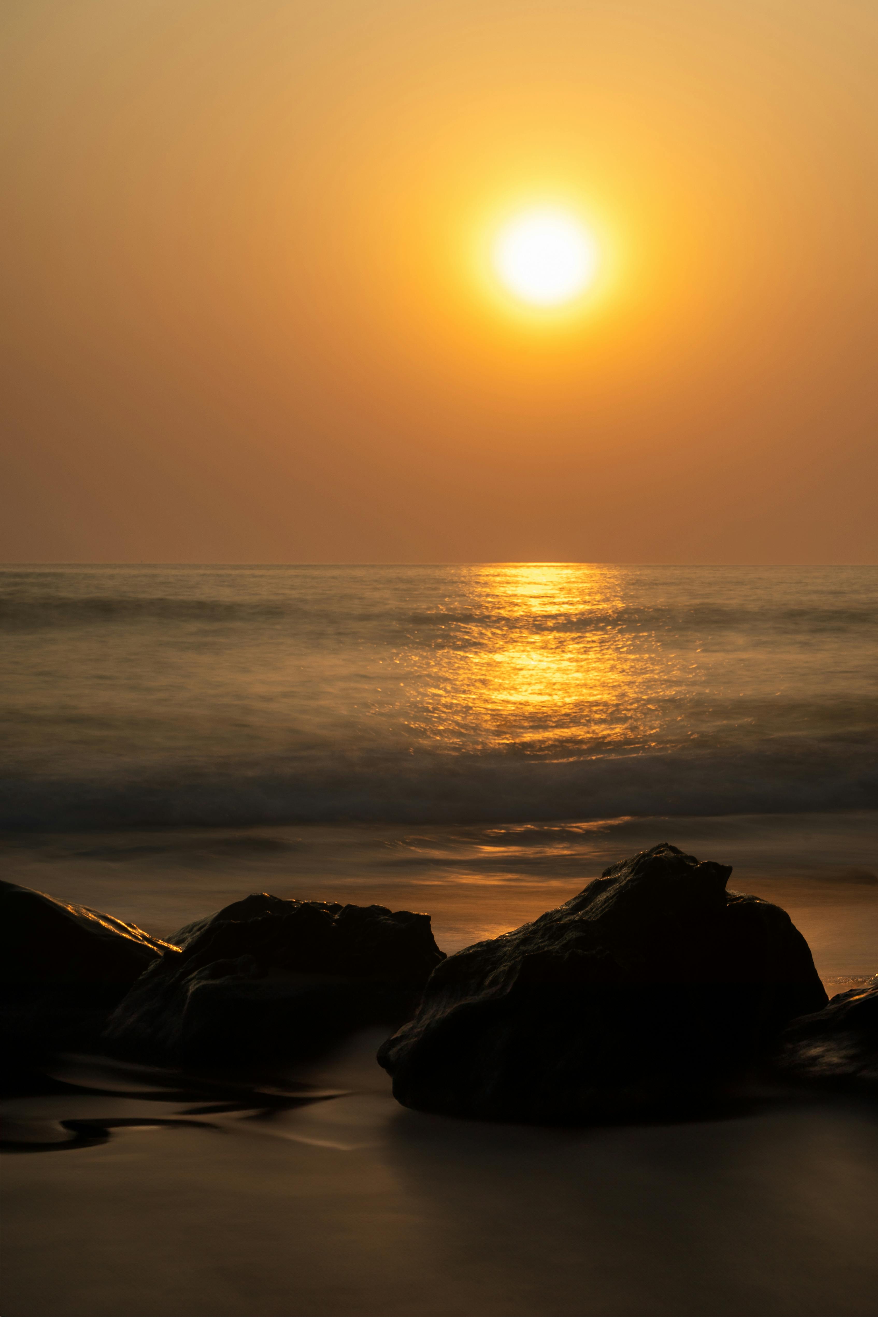 Bottom Of Ocean Background Photos, Download The BEST Free Bottom Of ...