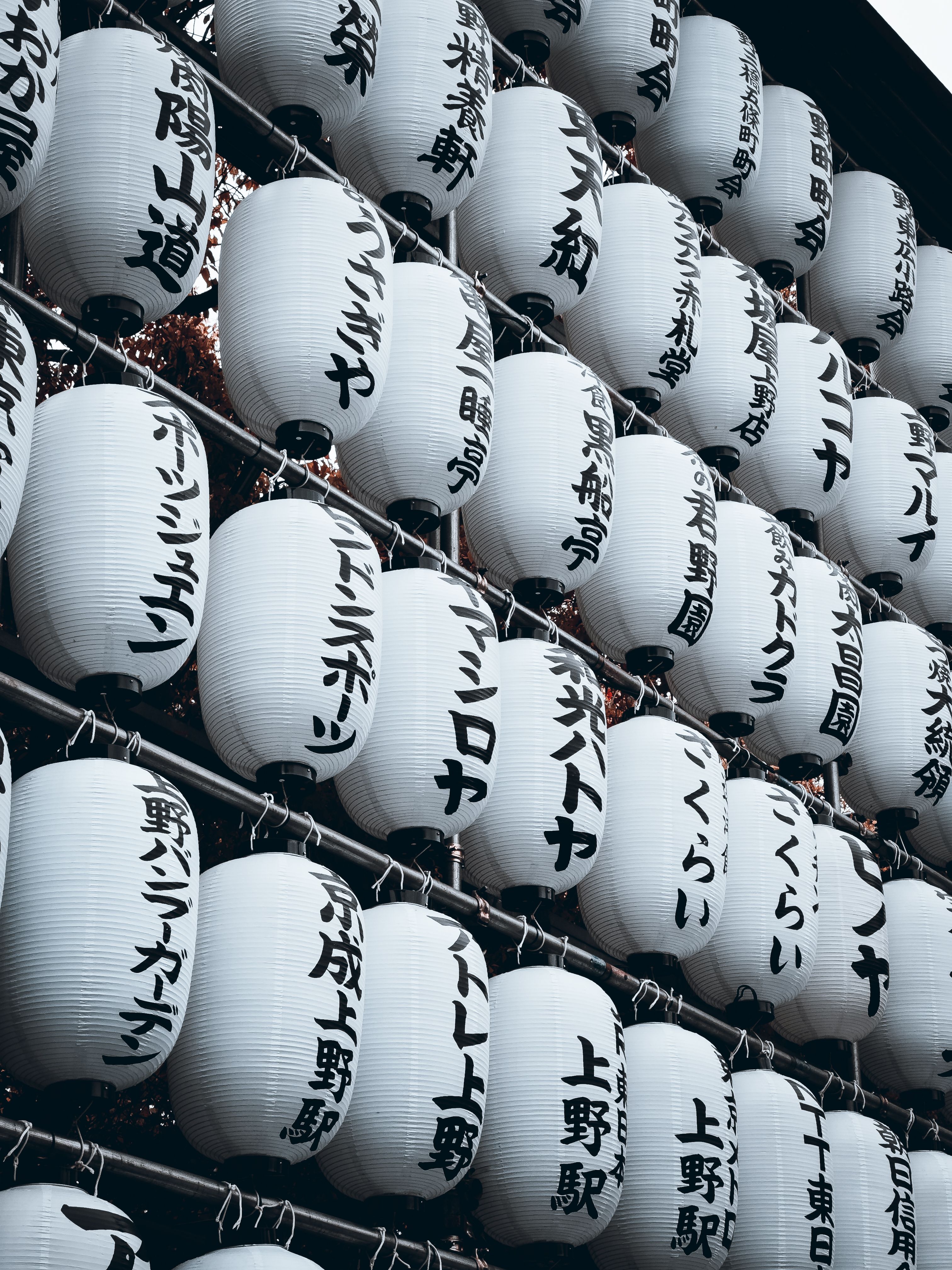 Close-up of White Paper Lanterns with Japanese Characters · Free Stock ...