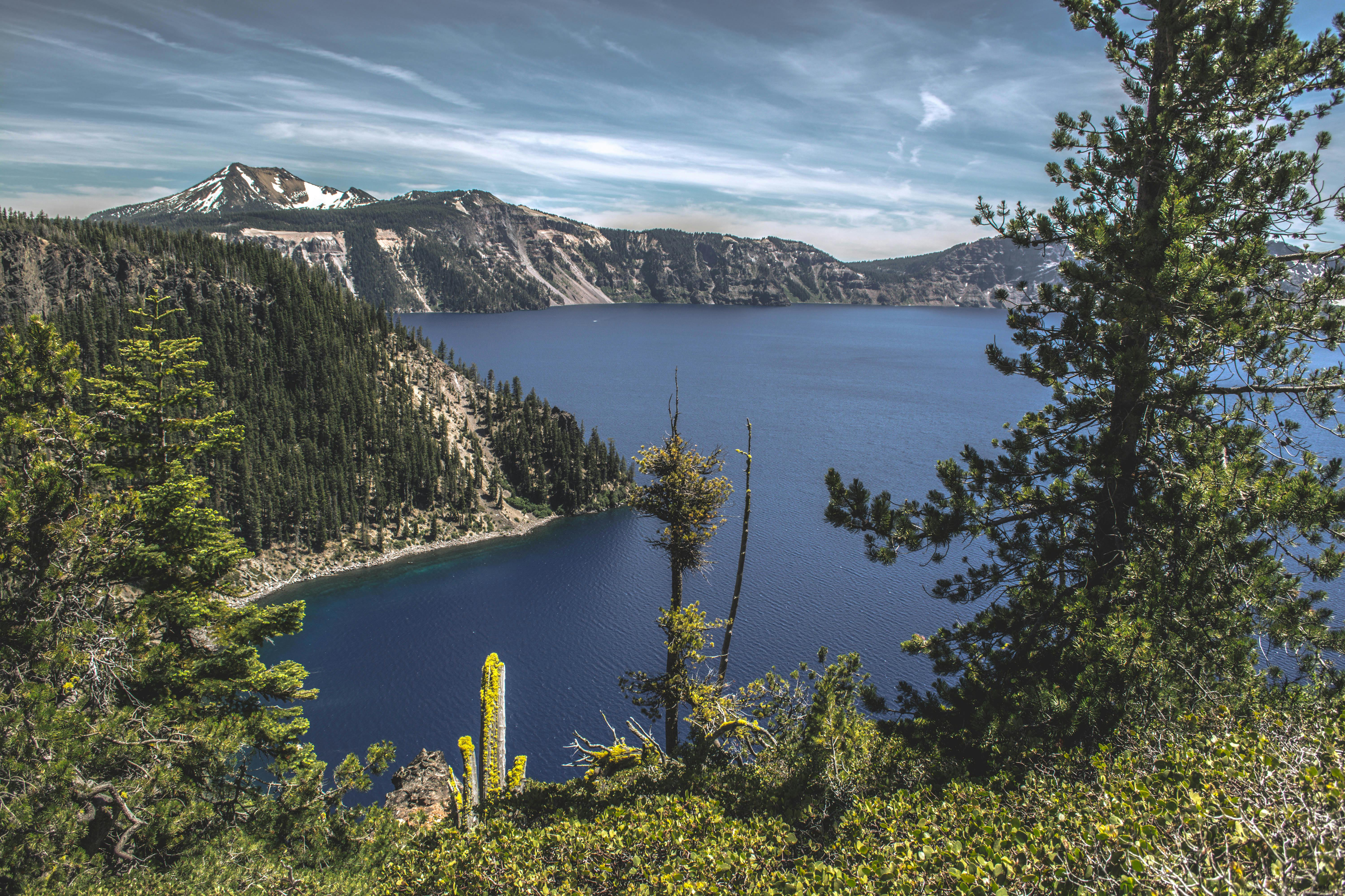 Panoramic View of Lake in Forest · Free Stock Photo