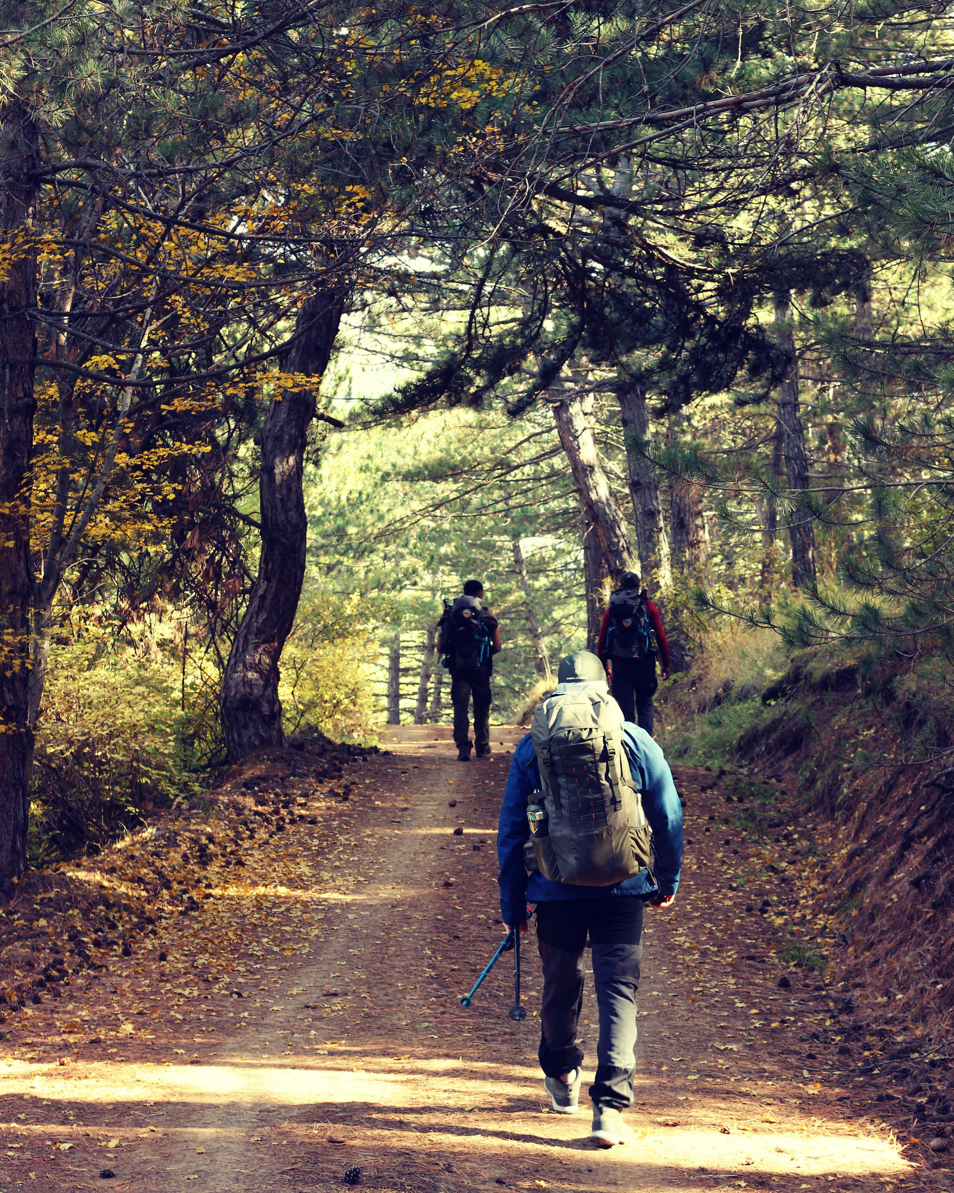 Hiker and a Camera Standing by a Lake in the Forest with Her Arms ...
