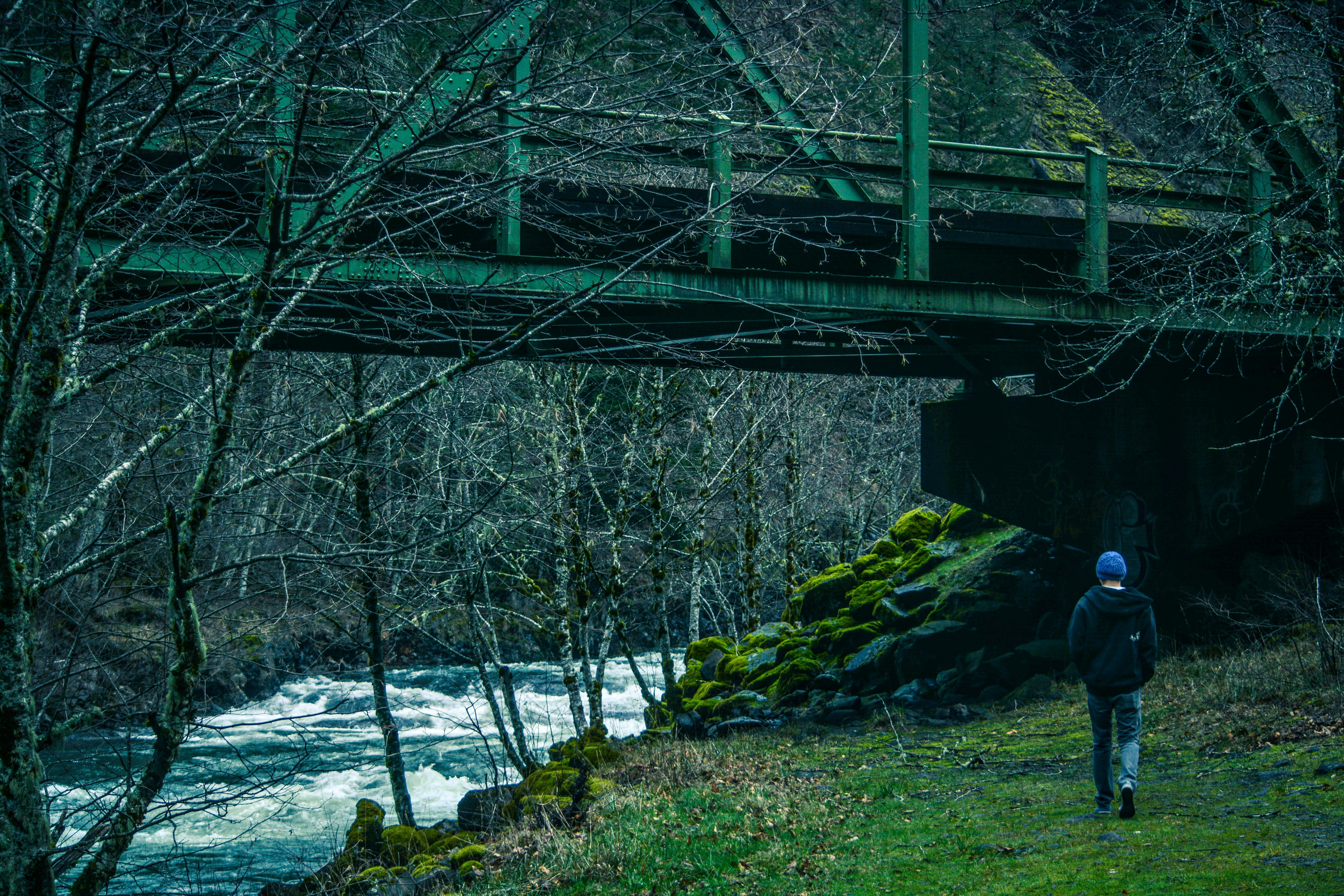Man Walking Under Bridge Beside River · Free Stock Photo