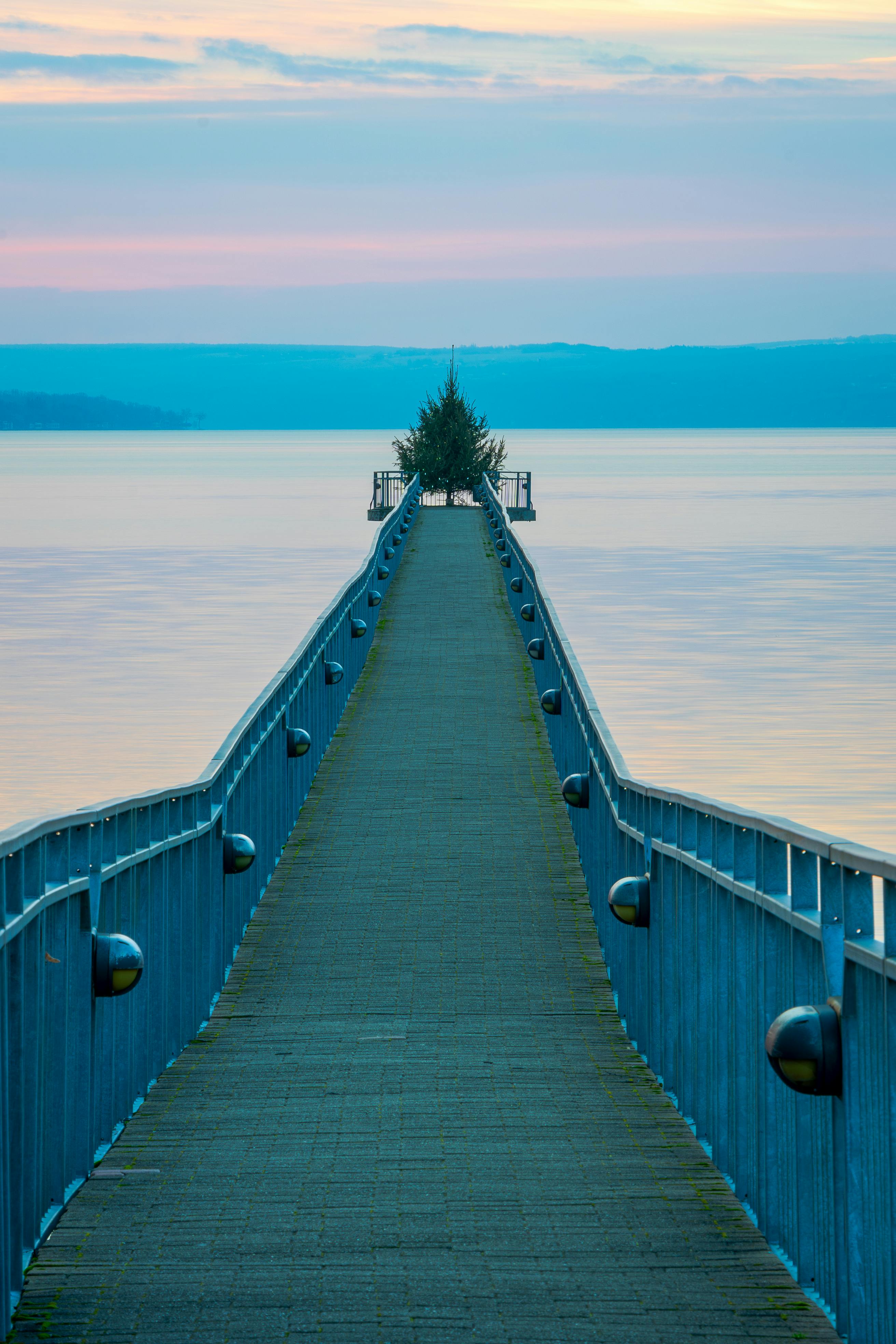 Christmas Tree on Pier on Lake · Free Stock Photo