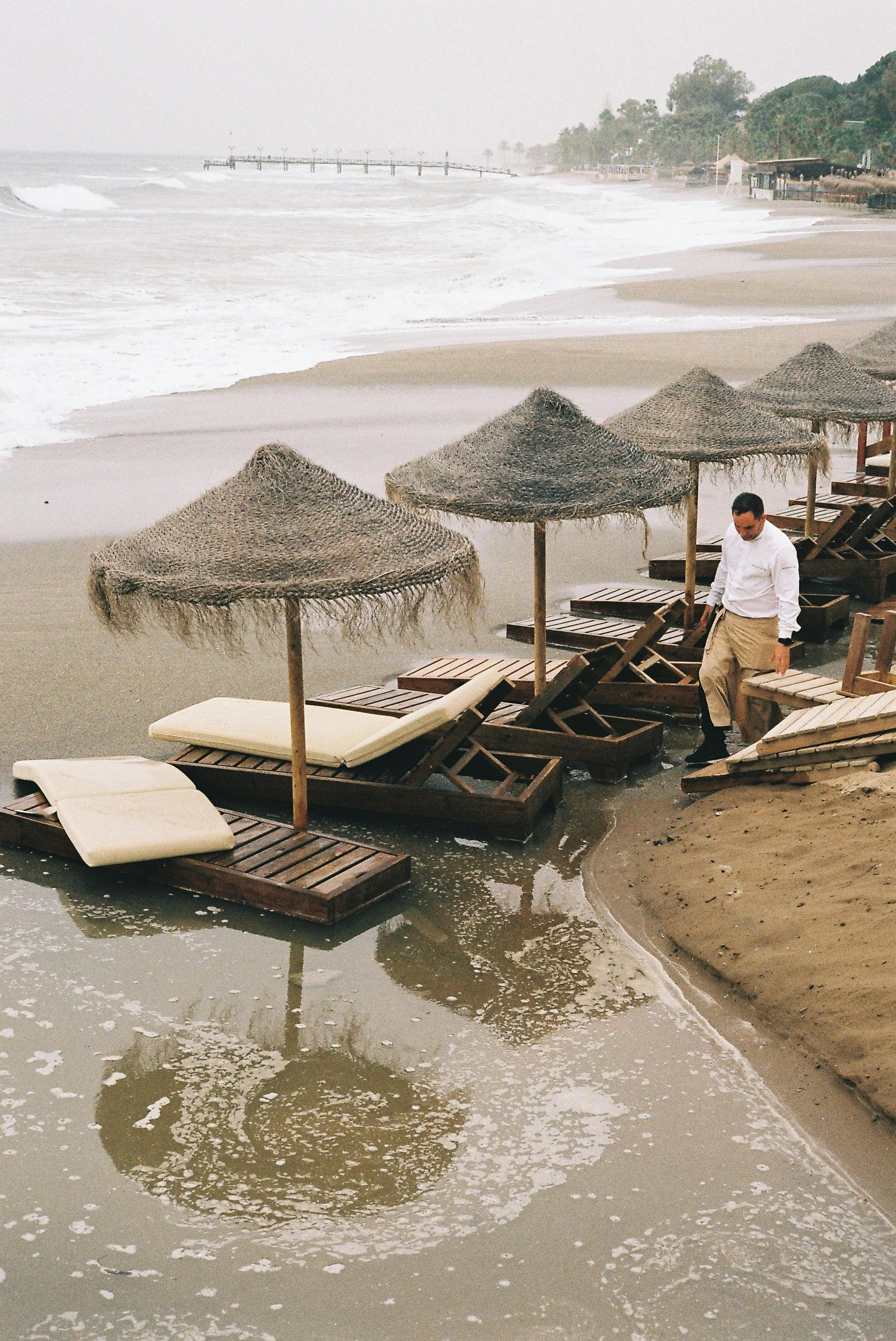 Nids Photos, Download The BEST Free Nids Stock Photos & HD Images