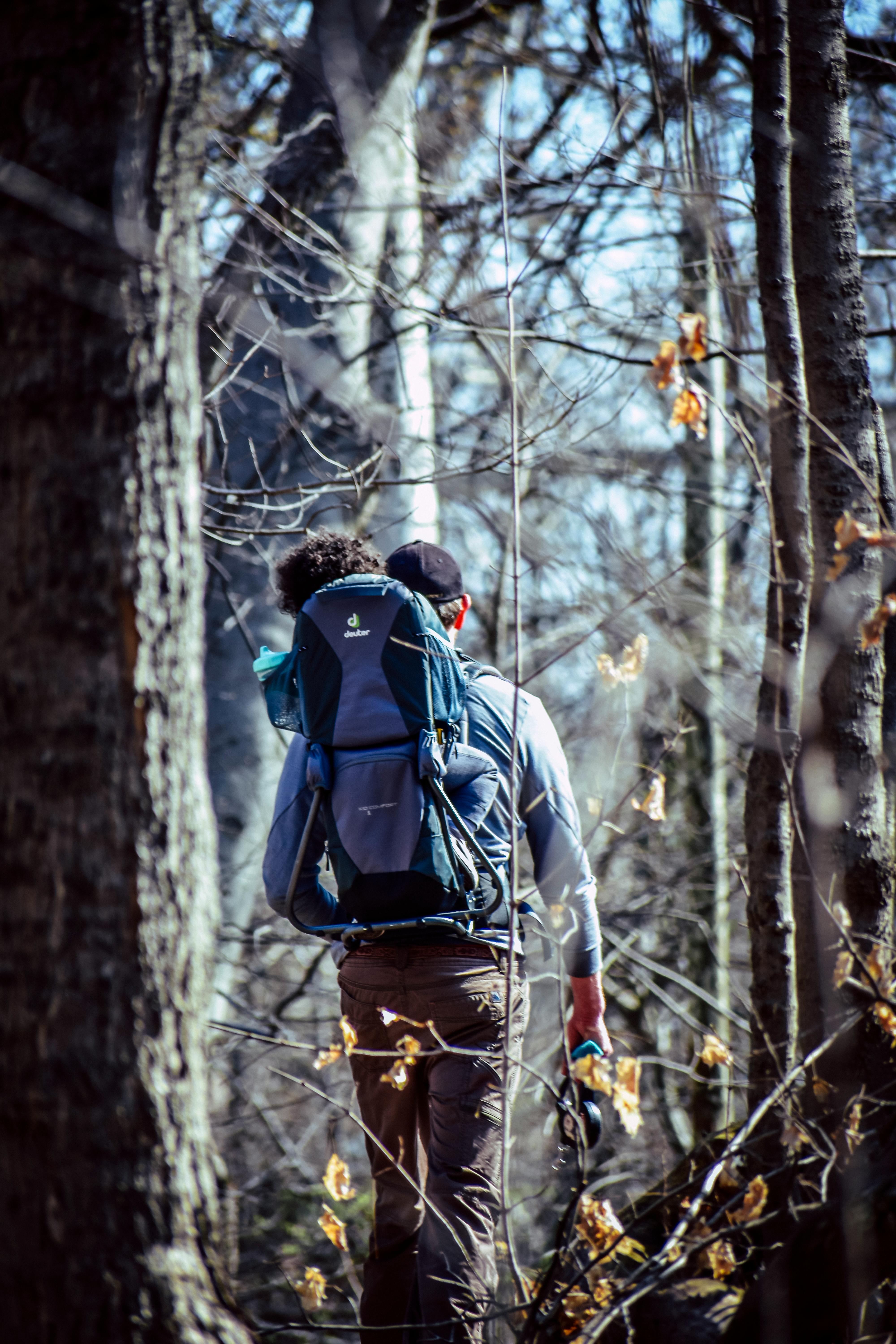 Man Sitting on Tree Branch · Free Stock Photo