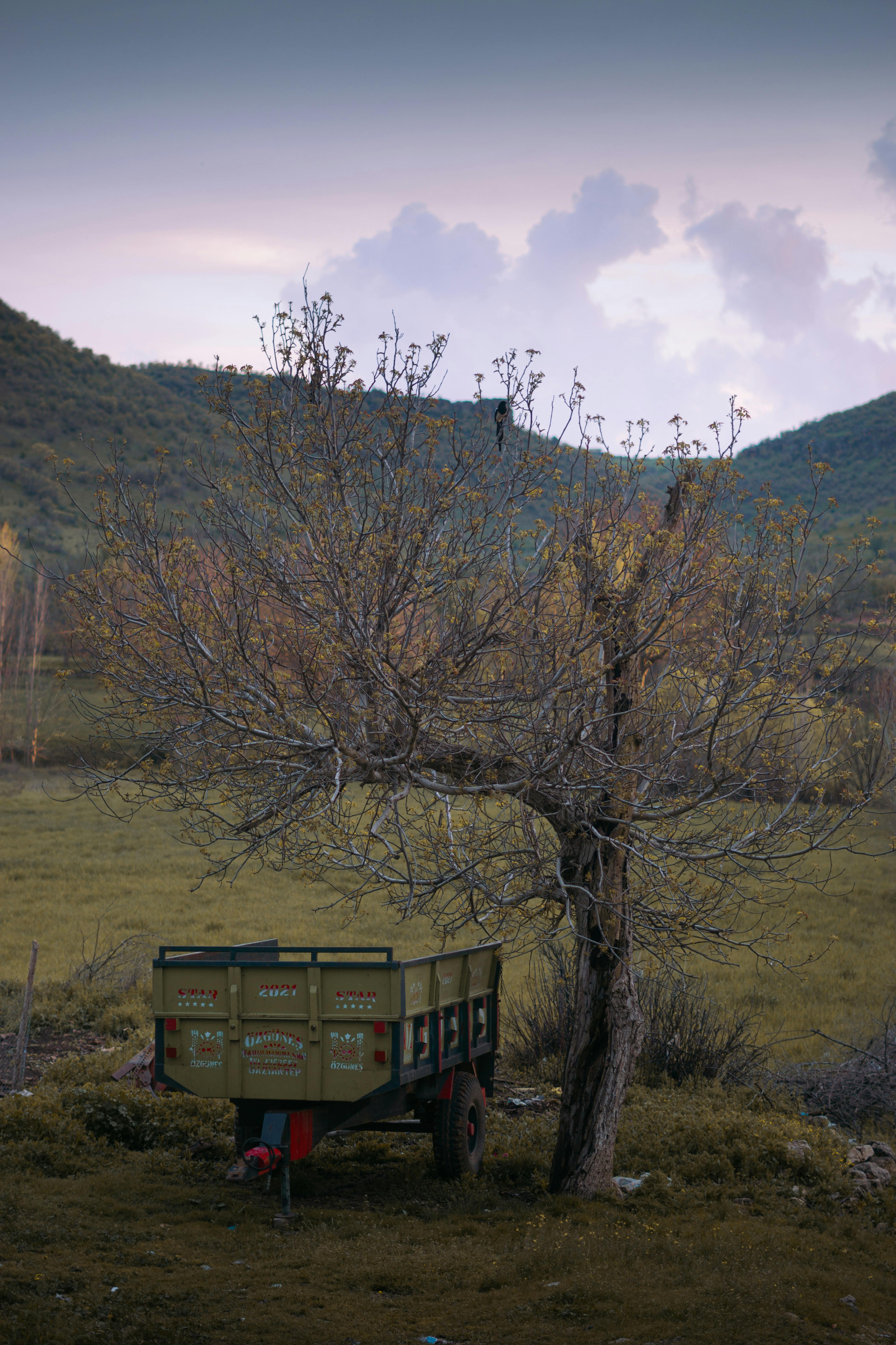 Tree and Trailer at Farm · Free Stock Photo