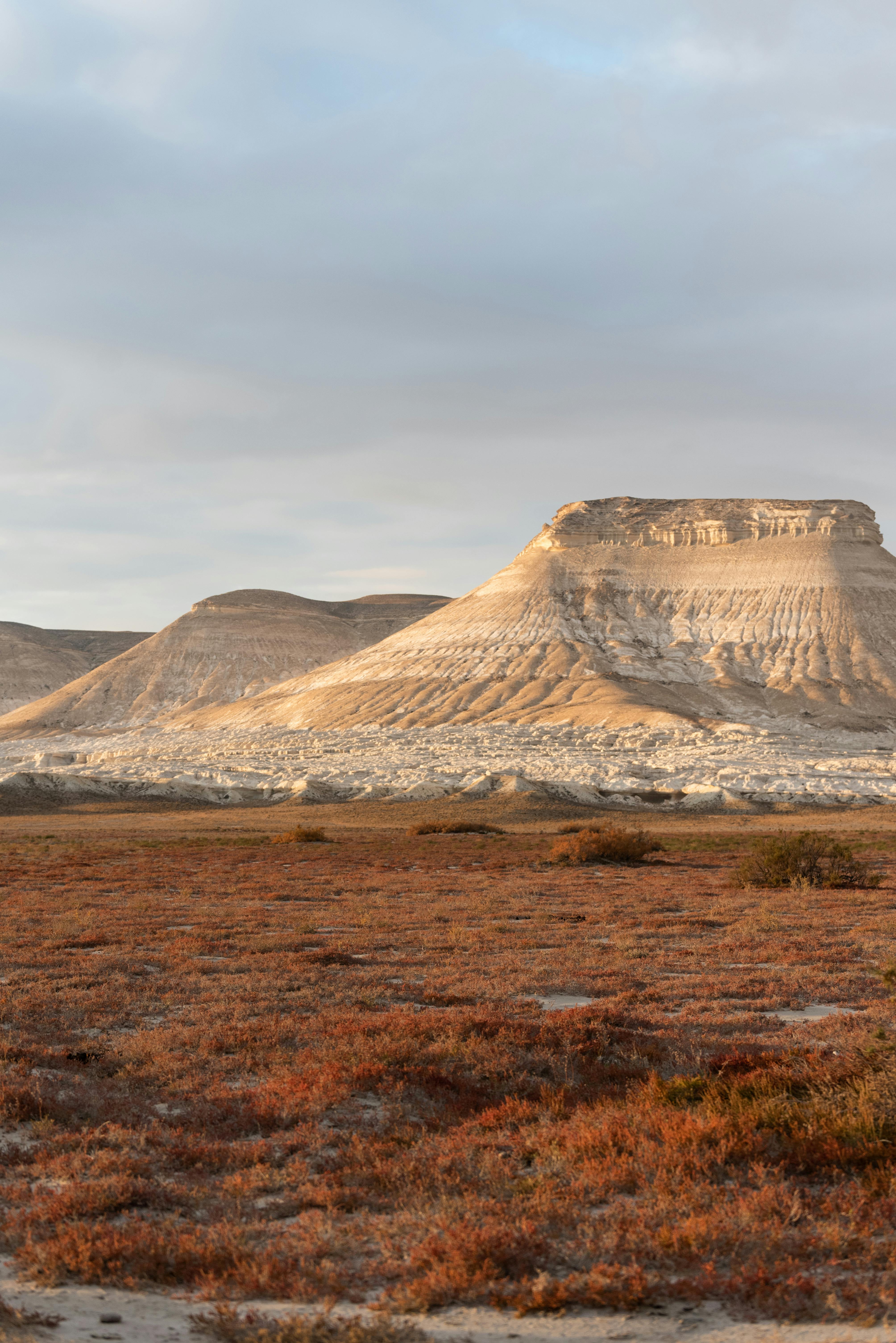 Scenic View of the Ustyurt Plateau in Kazakhstan · Free Stock Photo