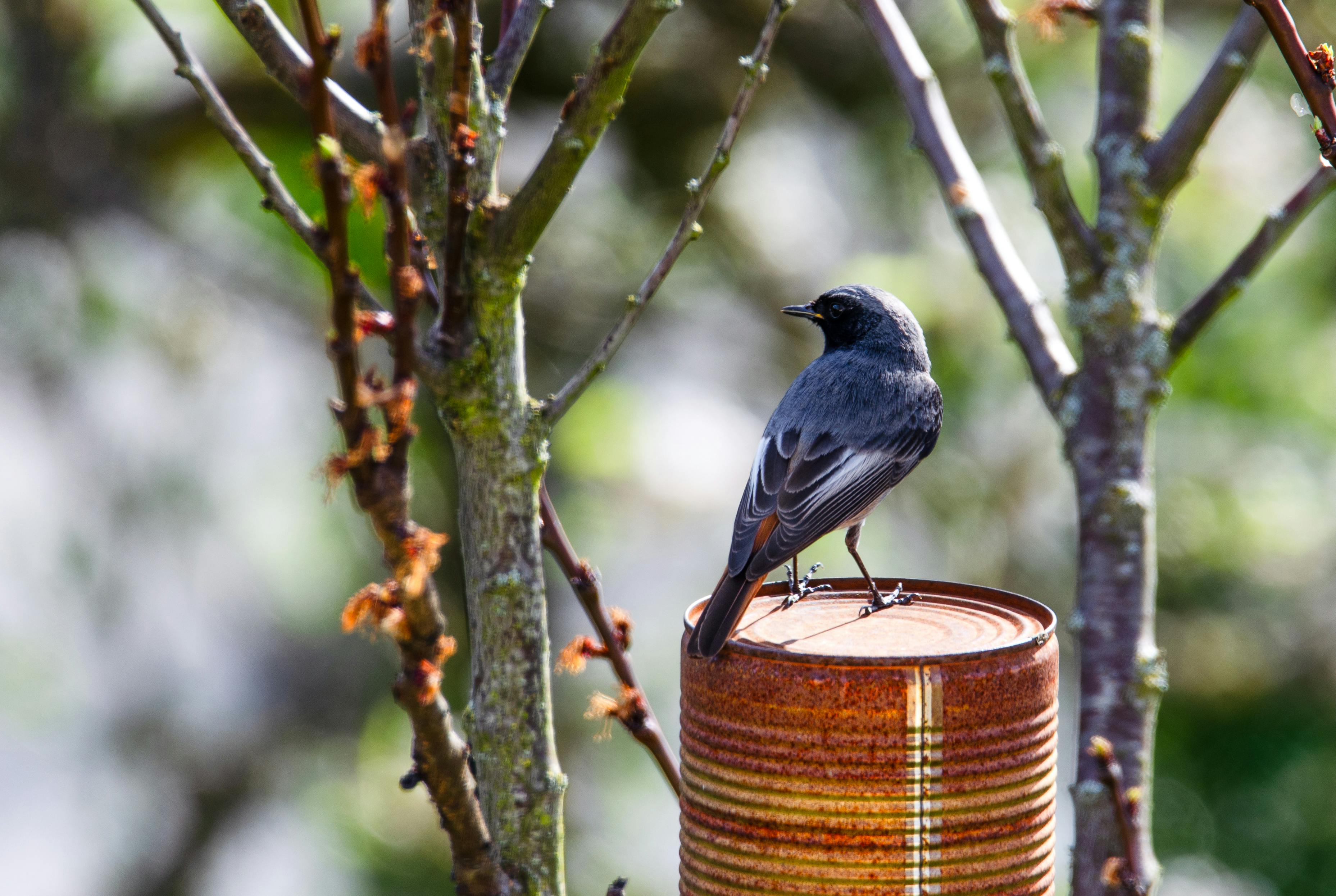 Felix Rehm – Fotografia