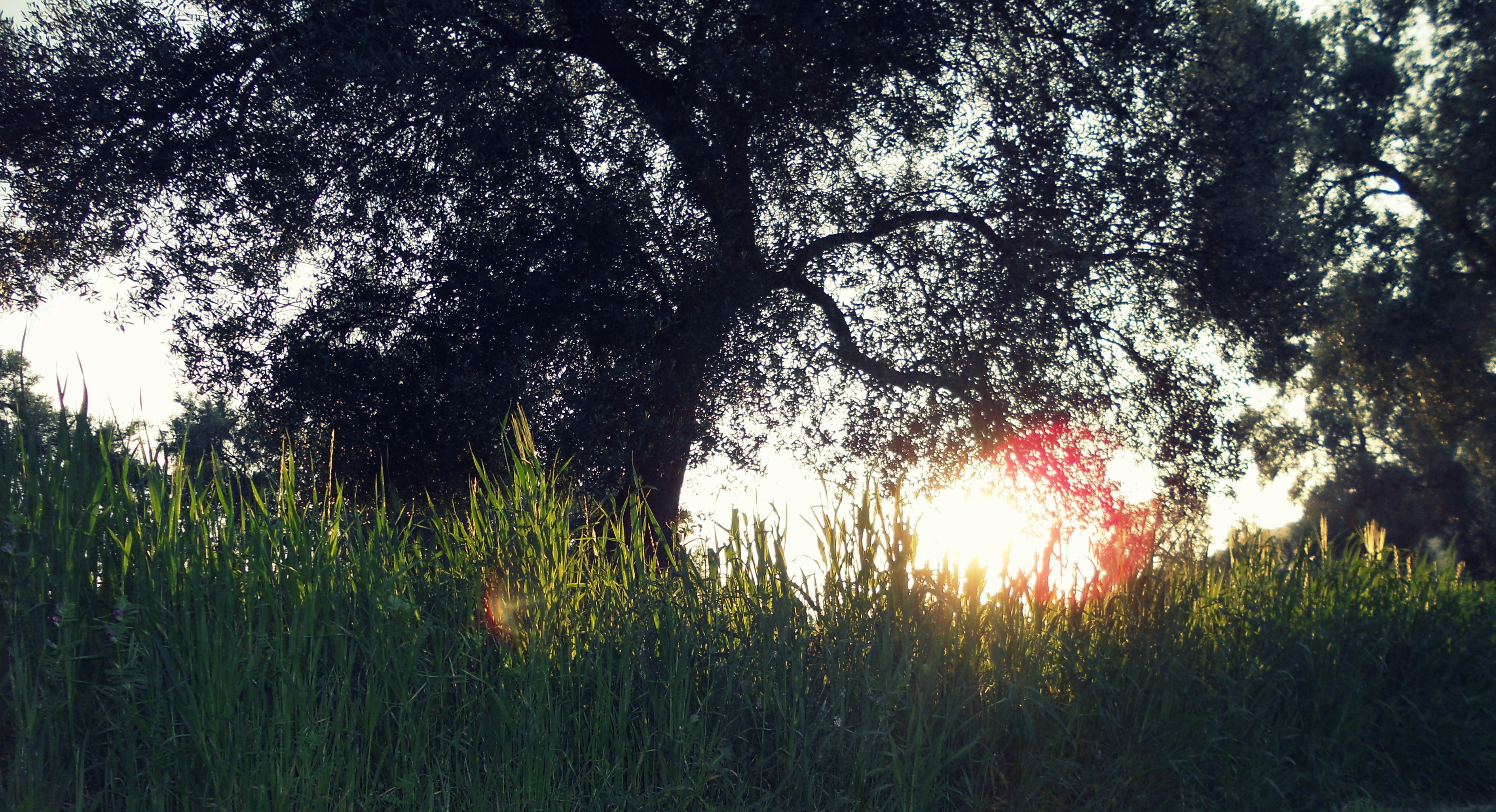 Free Stock Photo From Hachim Pexels free-stock-photo-from-hachim-pexels