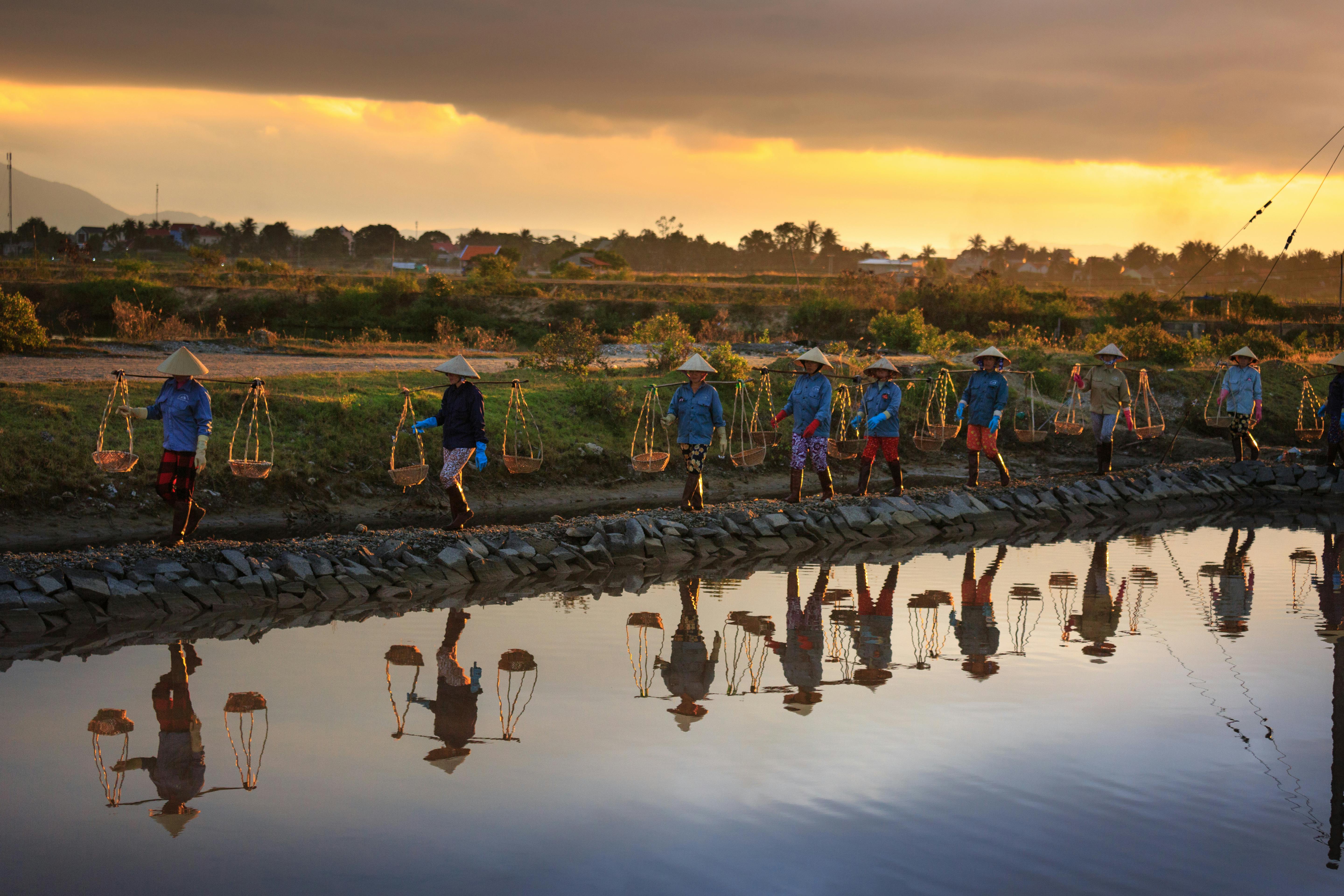 Eight Person Carrying Baskets · Free Stock Photo