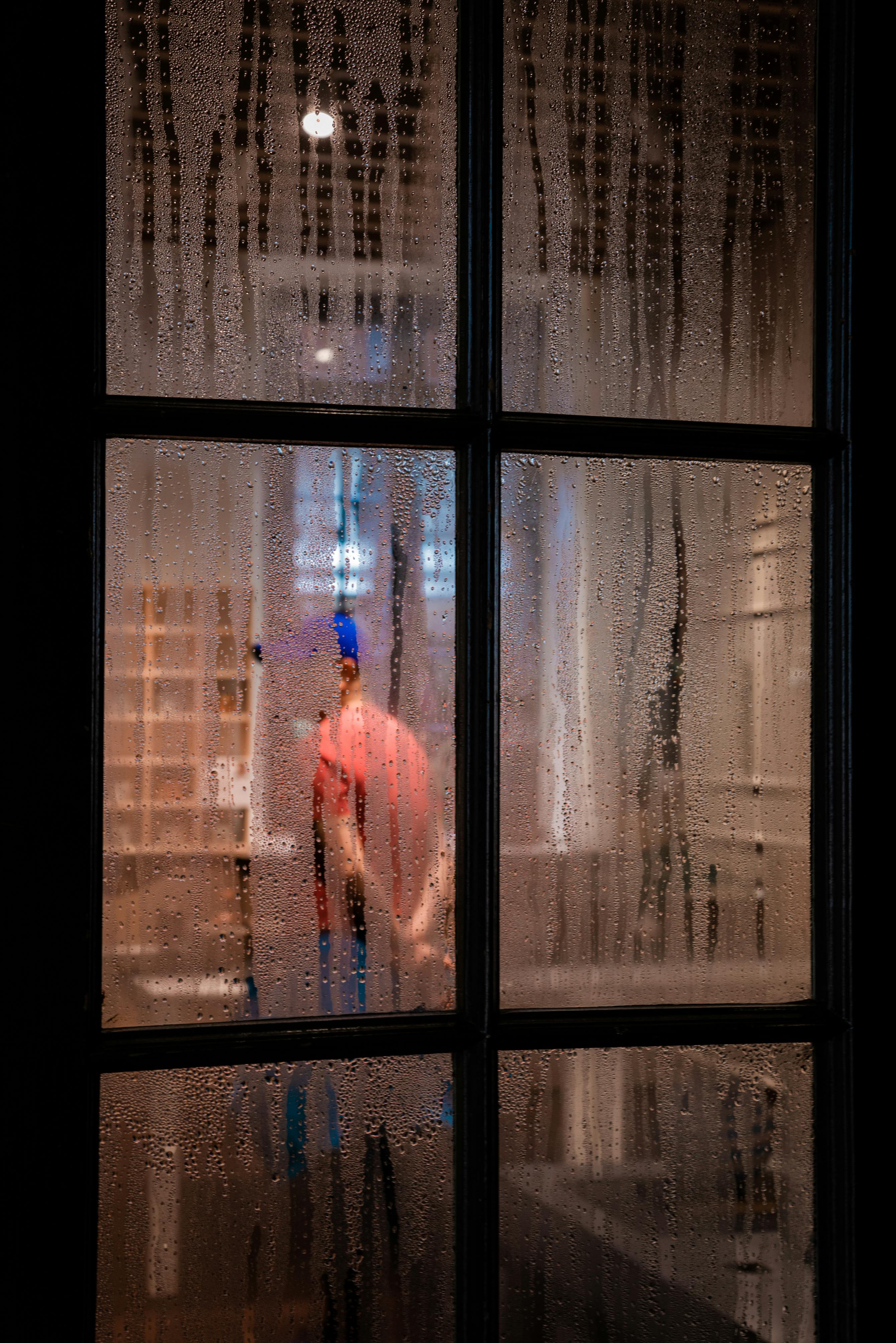 Free stock photo of windows