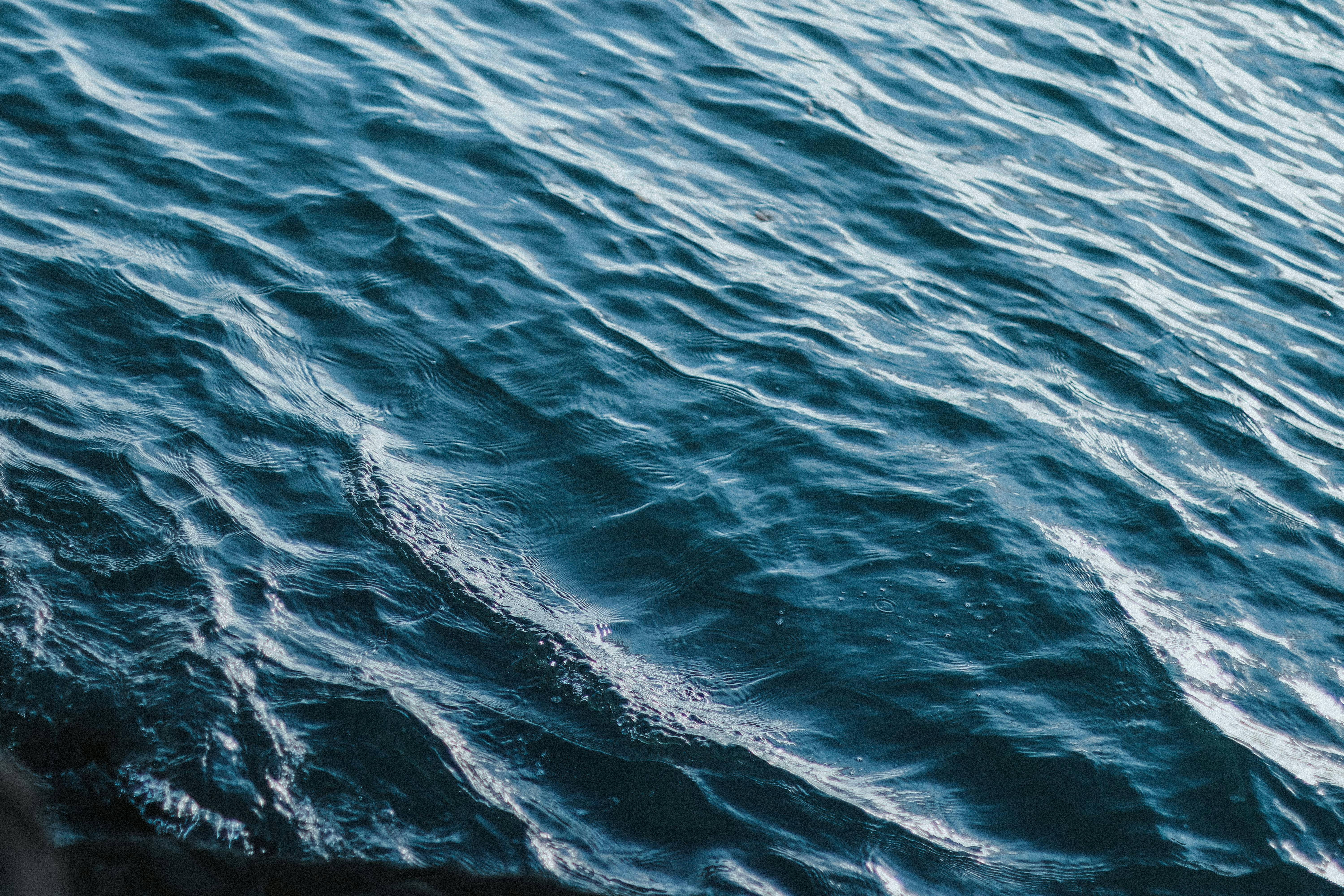 Calm Body Of Water · Free Stock Photo