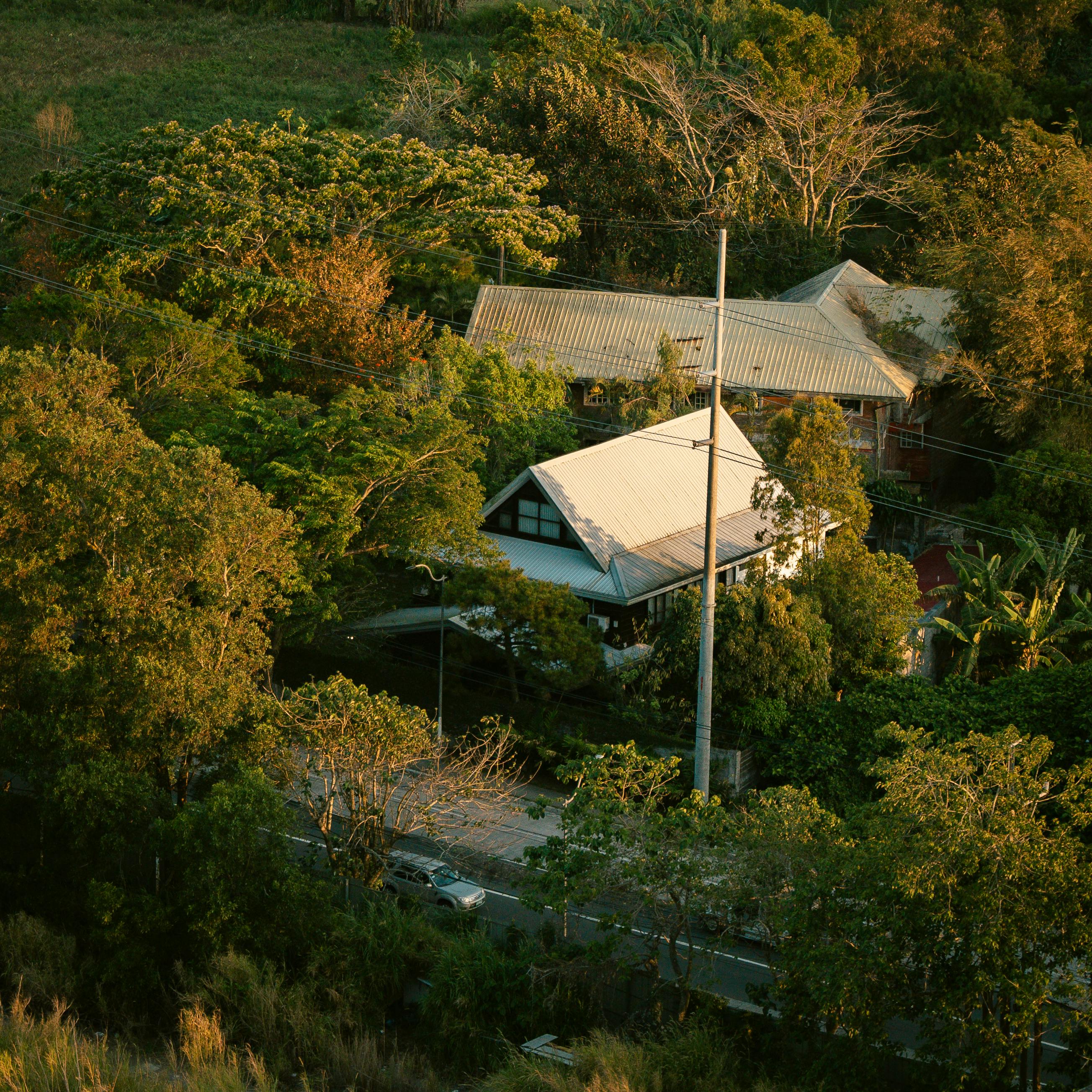 Pear Philippines Photos, Download The BEST Free Pear Philippines Stock ...