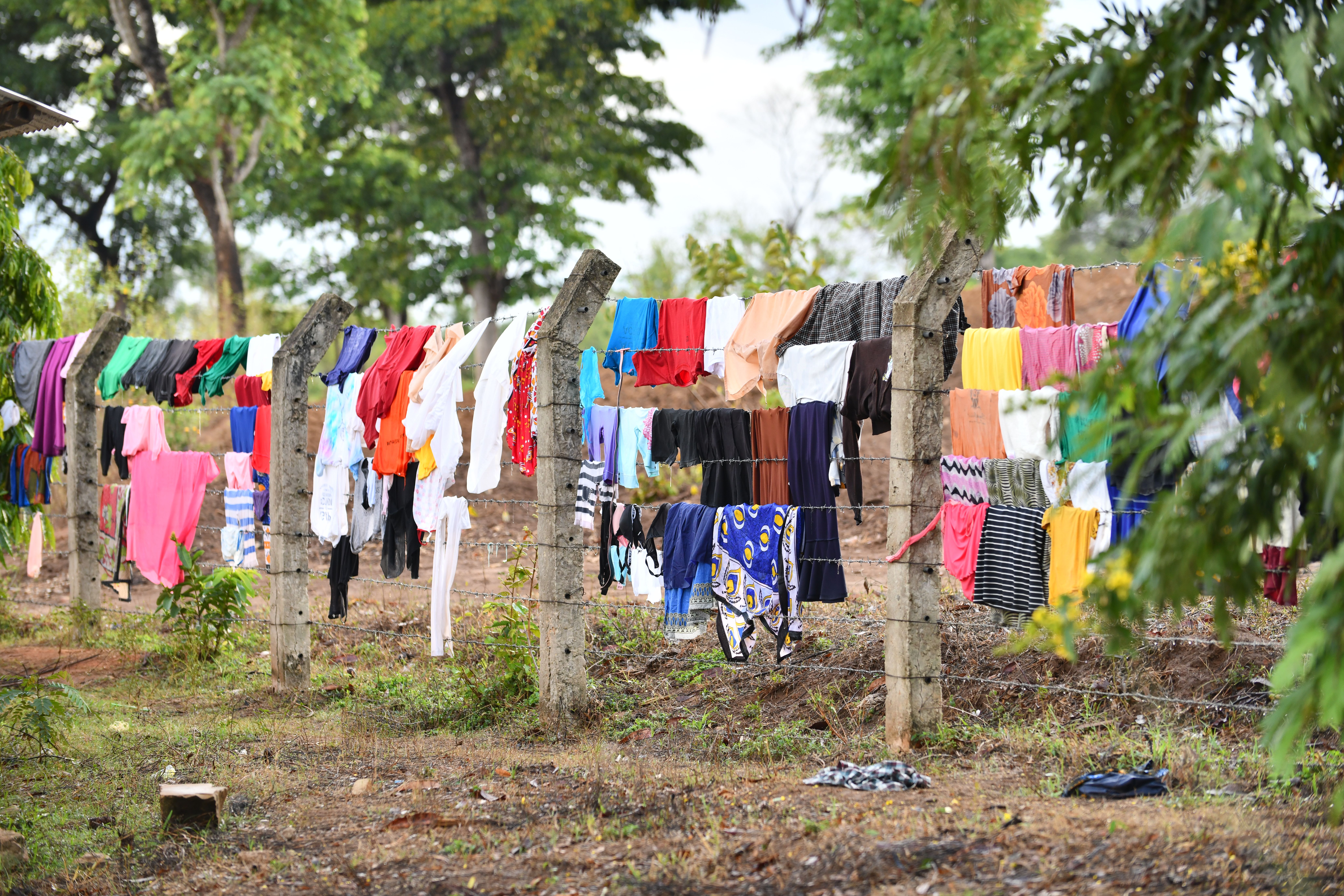 Colorful Laundry Hanging on a Fence in a Forest · Free Stock Photo