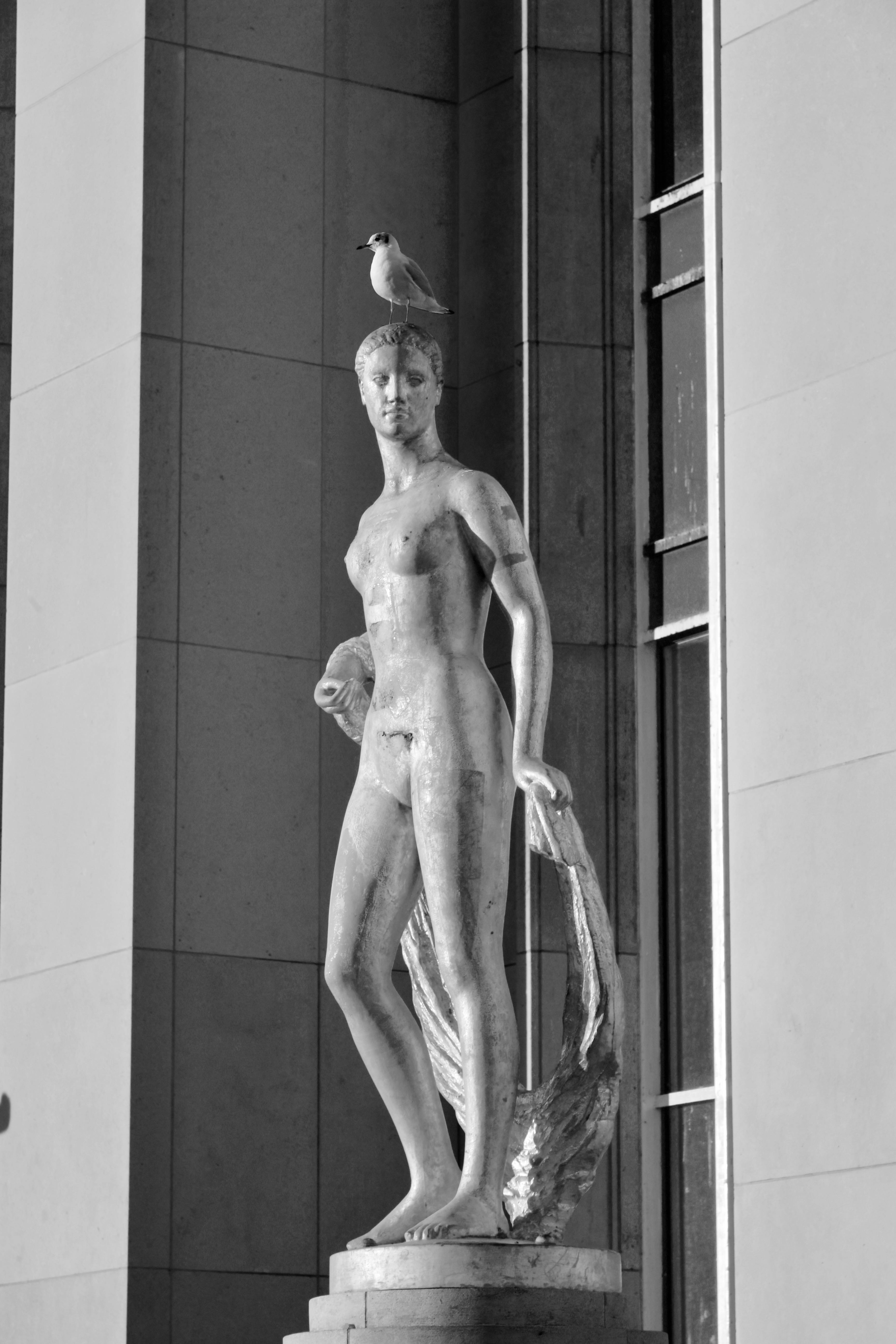 Sally Field Nude: Unveiling the Allure Behind Iconic Scenes