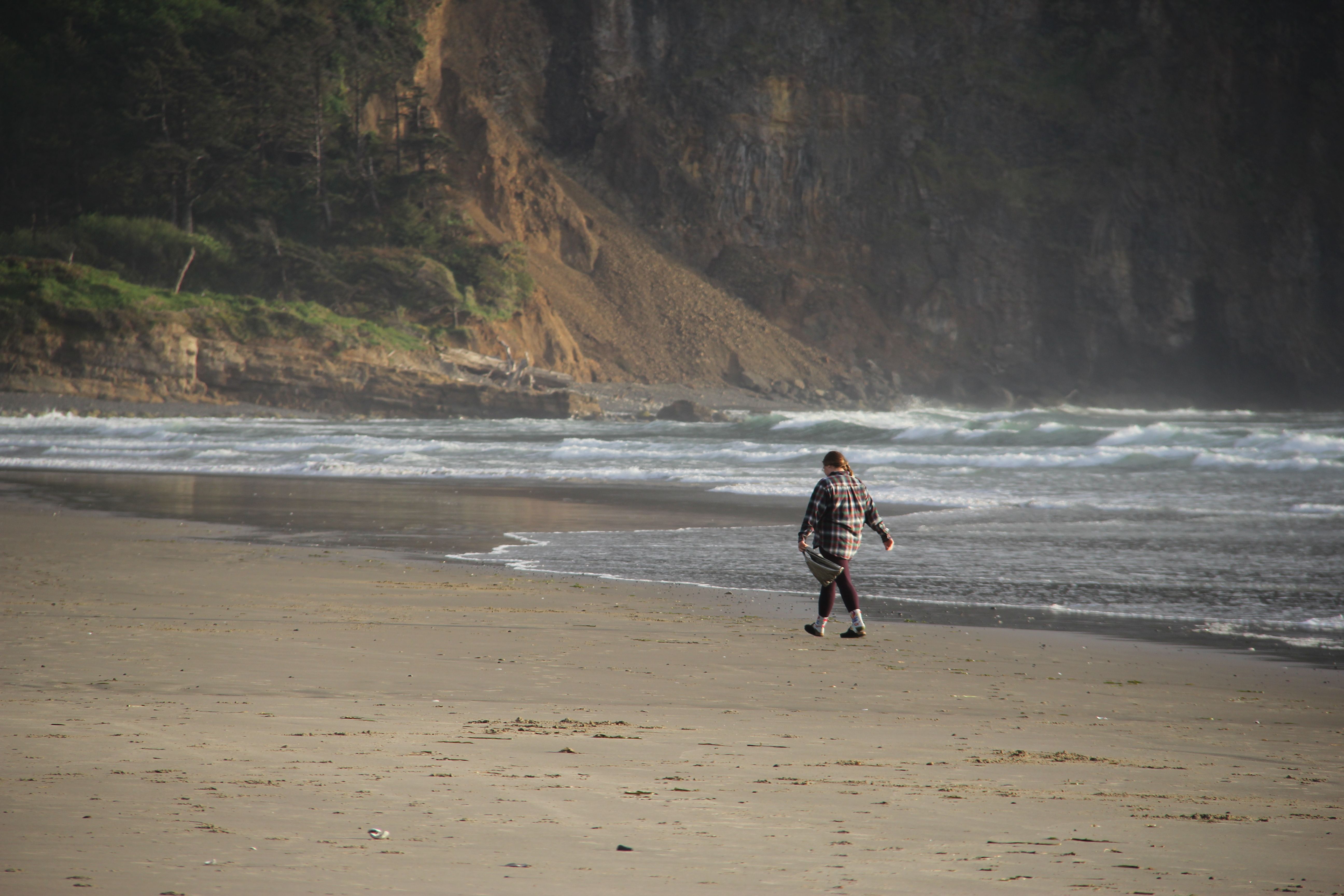 Back View of Person Walking on Seashore · Free Stock Photo