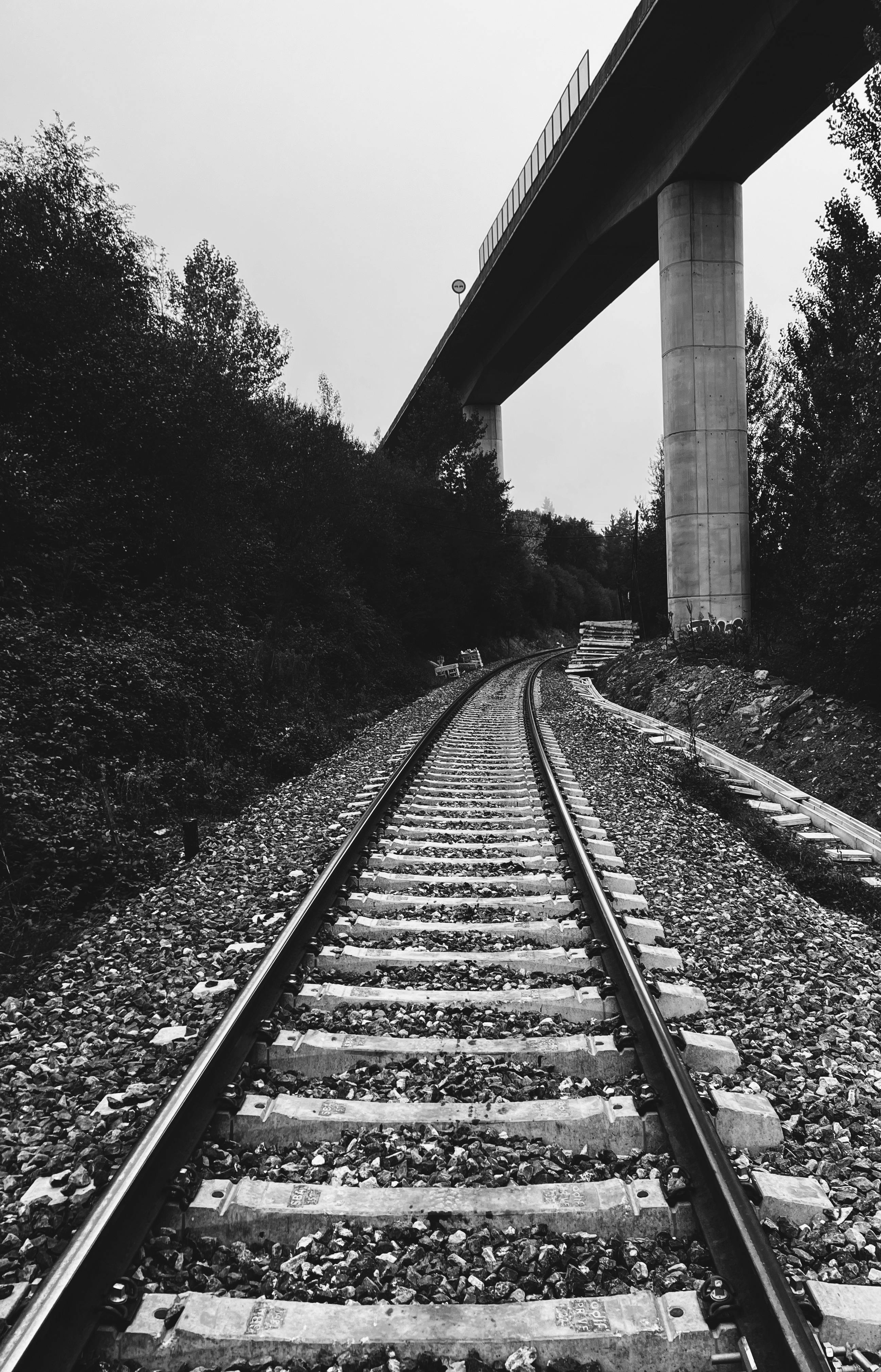 Black and White Photography of Rails · Free Stock Photo