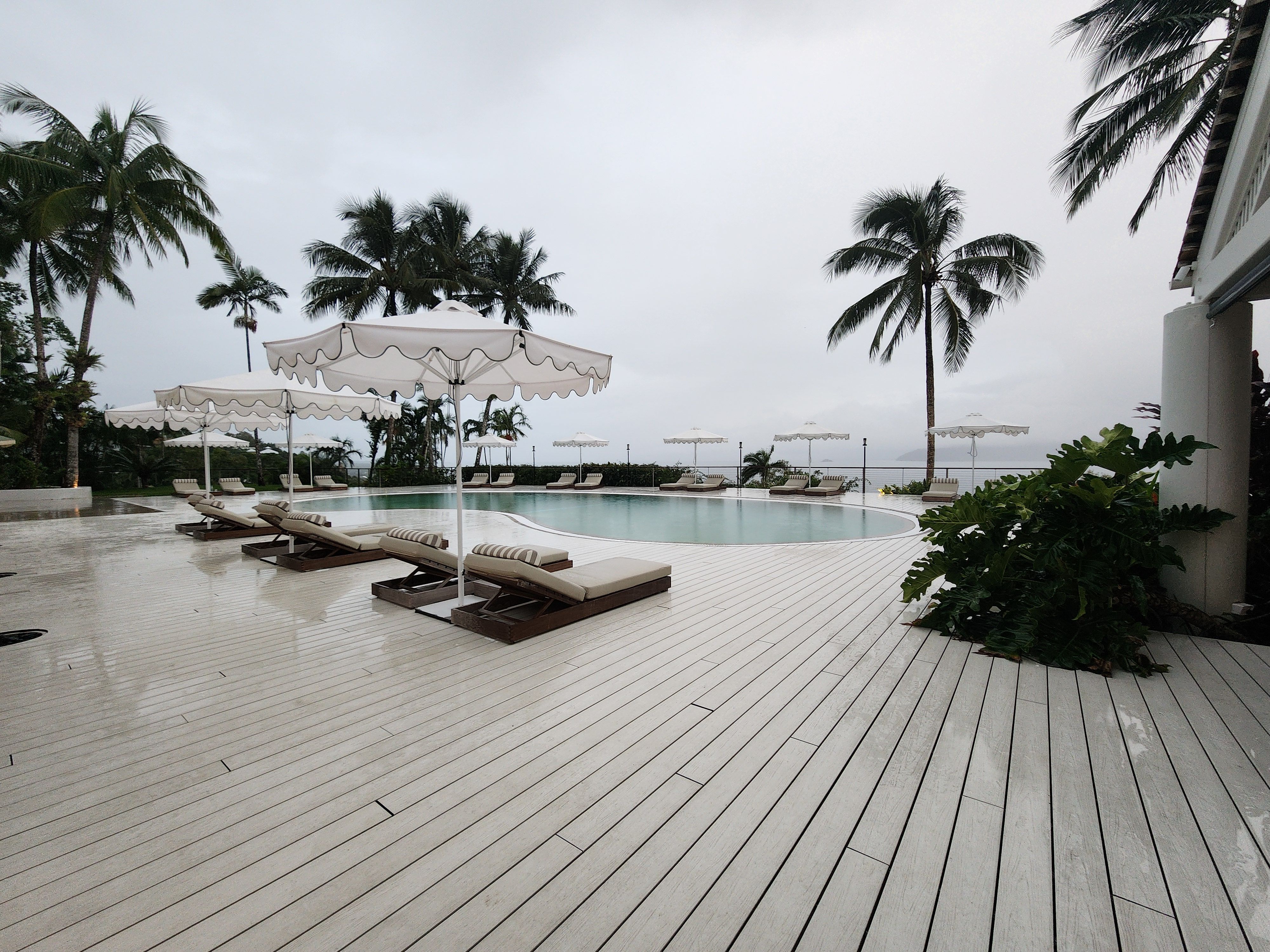 Palm Trees on a Terrace of a Mansion · Free Stock Photo