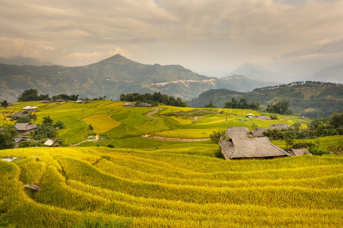 Outside Photos, Download The BEST Free Outside Stock Photos & HD Images