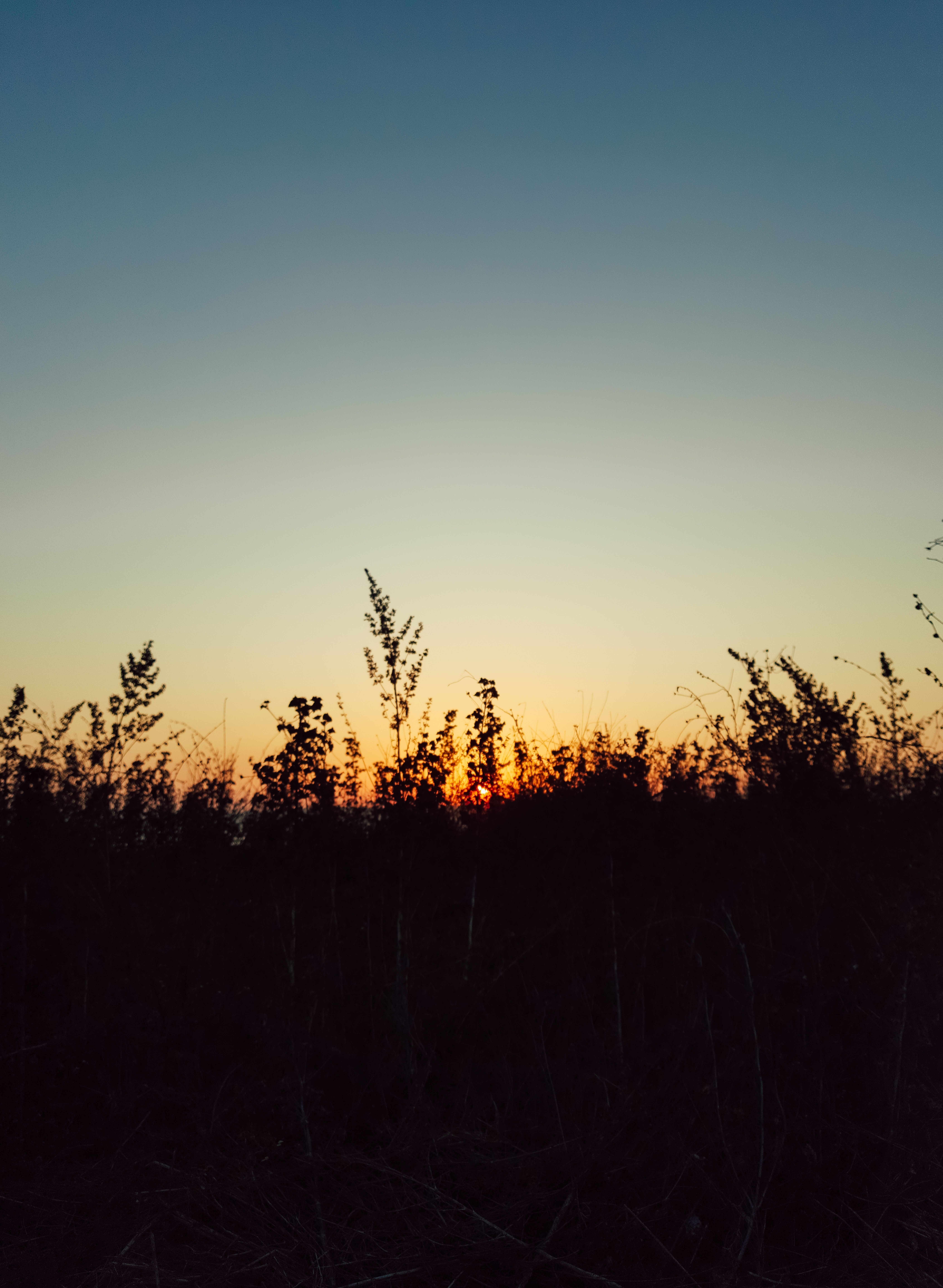 Field At Sunset Photos, Download The BEST Free Field At Sunset Stock ...