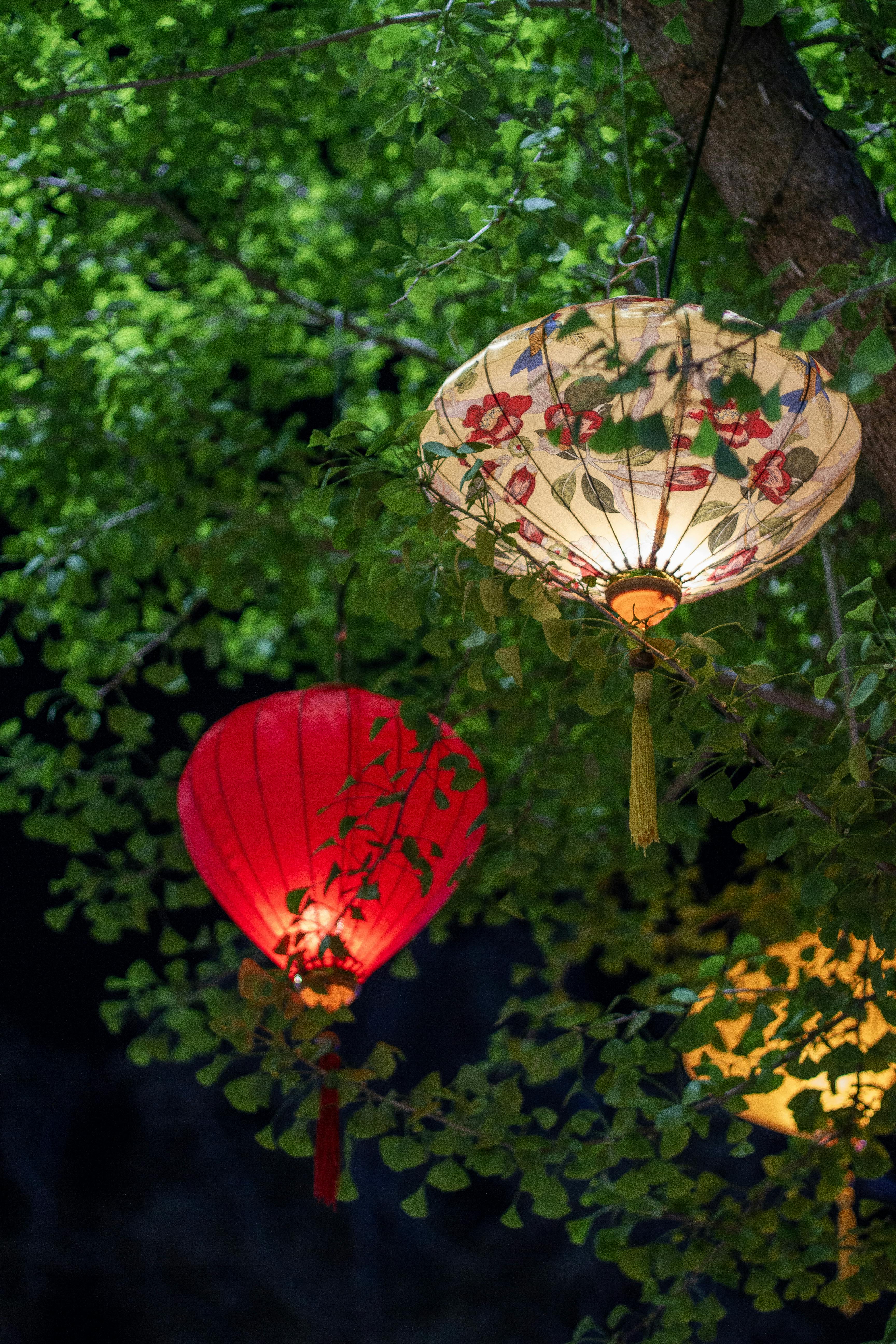 20,000+张最精彩的“Sinukmani Festival”图片 · 100%免费下载 · Pexels素材图片