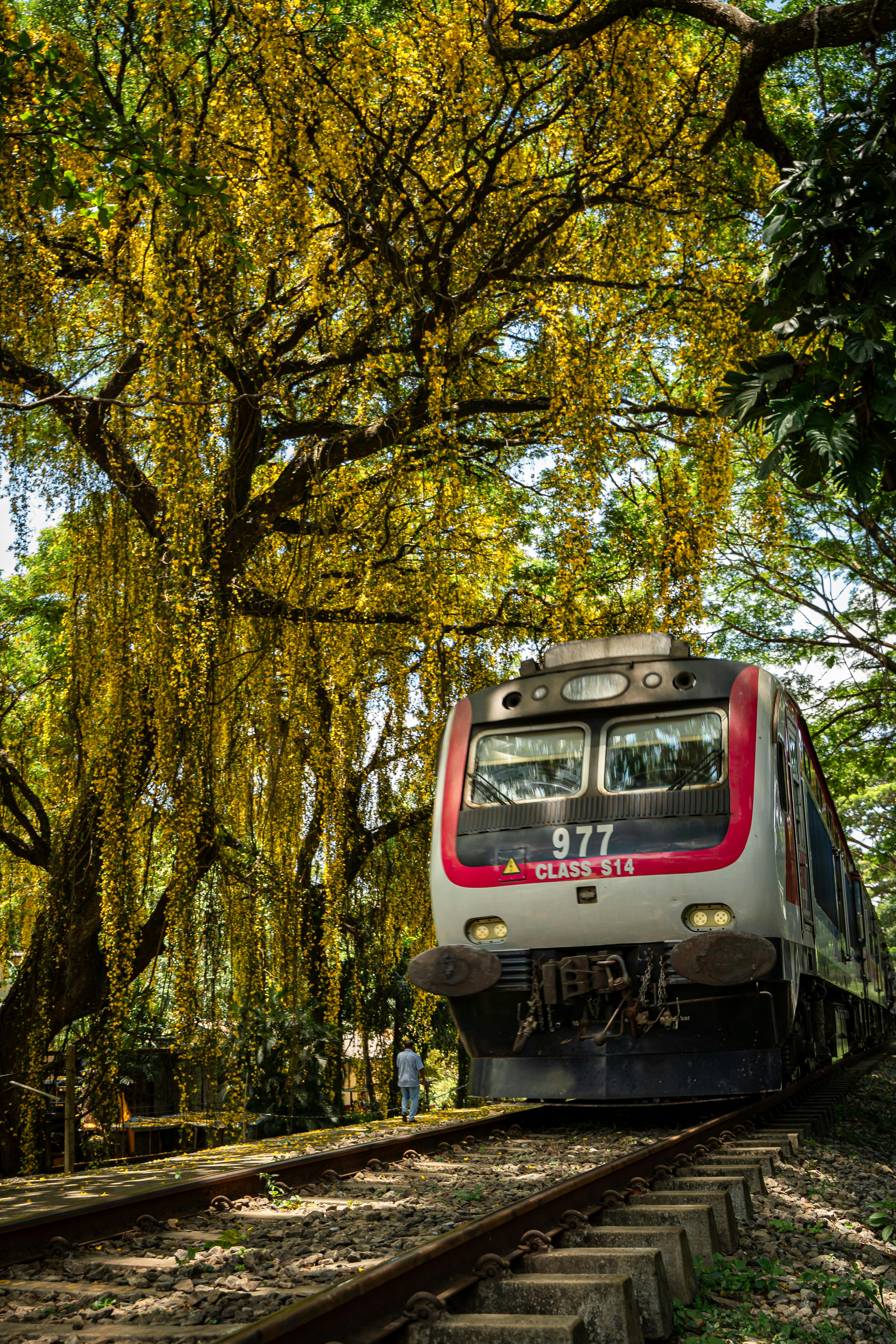 Train Images Photos, Download The BEST Free Train Images Stock Photos ...