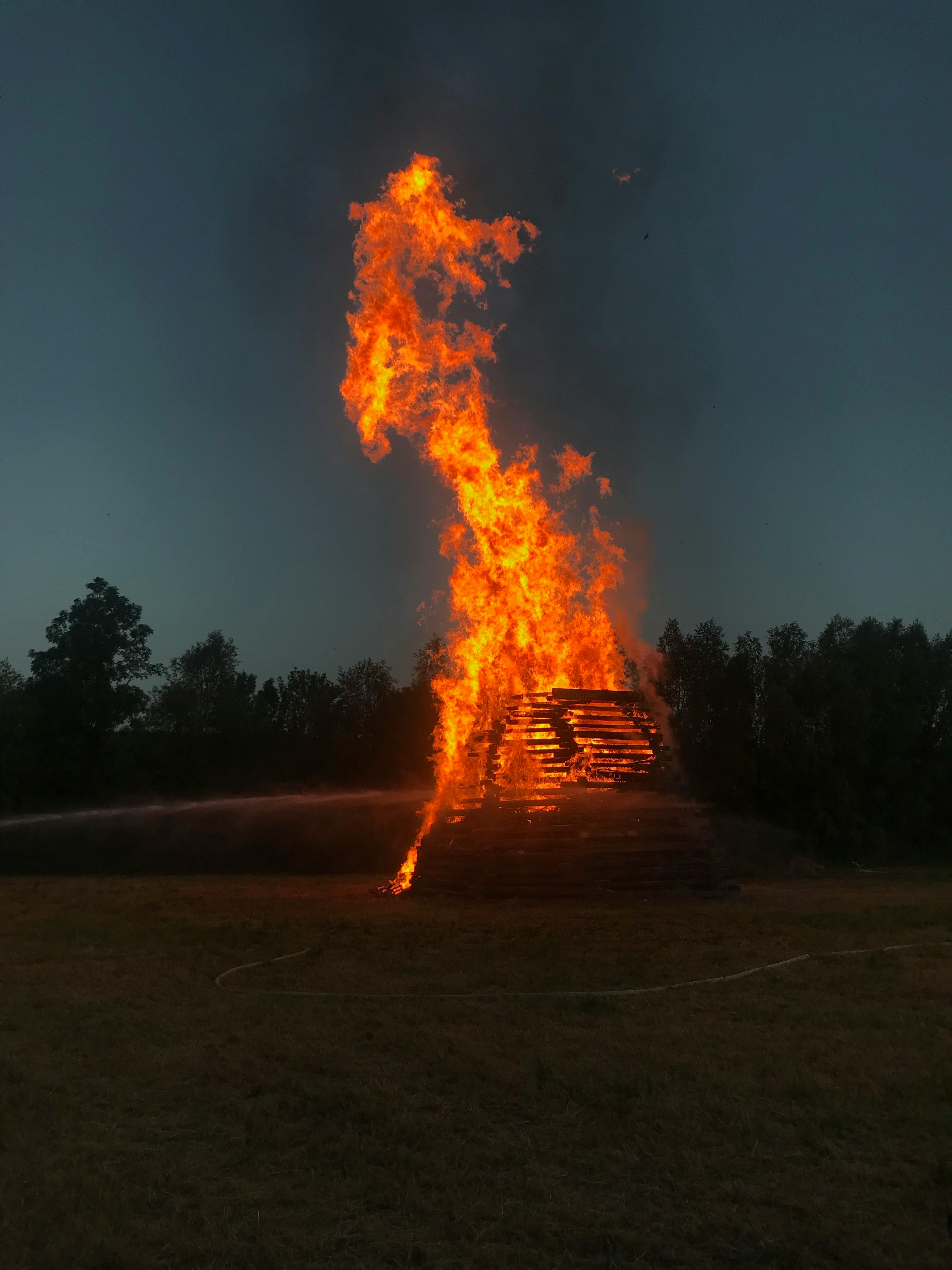 Burning Bonfire in Forest at Dusk · Free Stock Photo