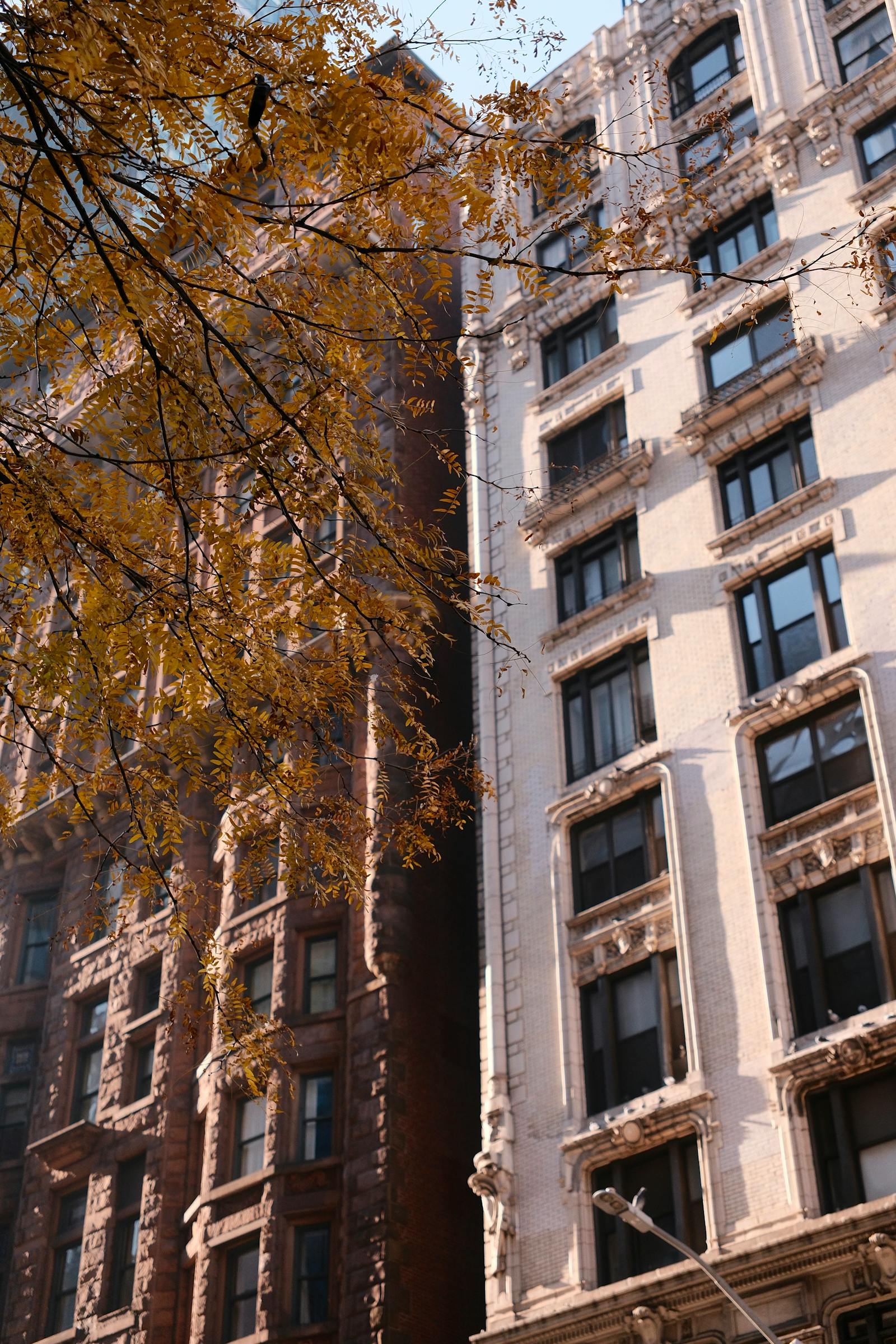 Fall City Photos, Download The BEST Free Fall City Stock Photos & HD Images