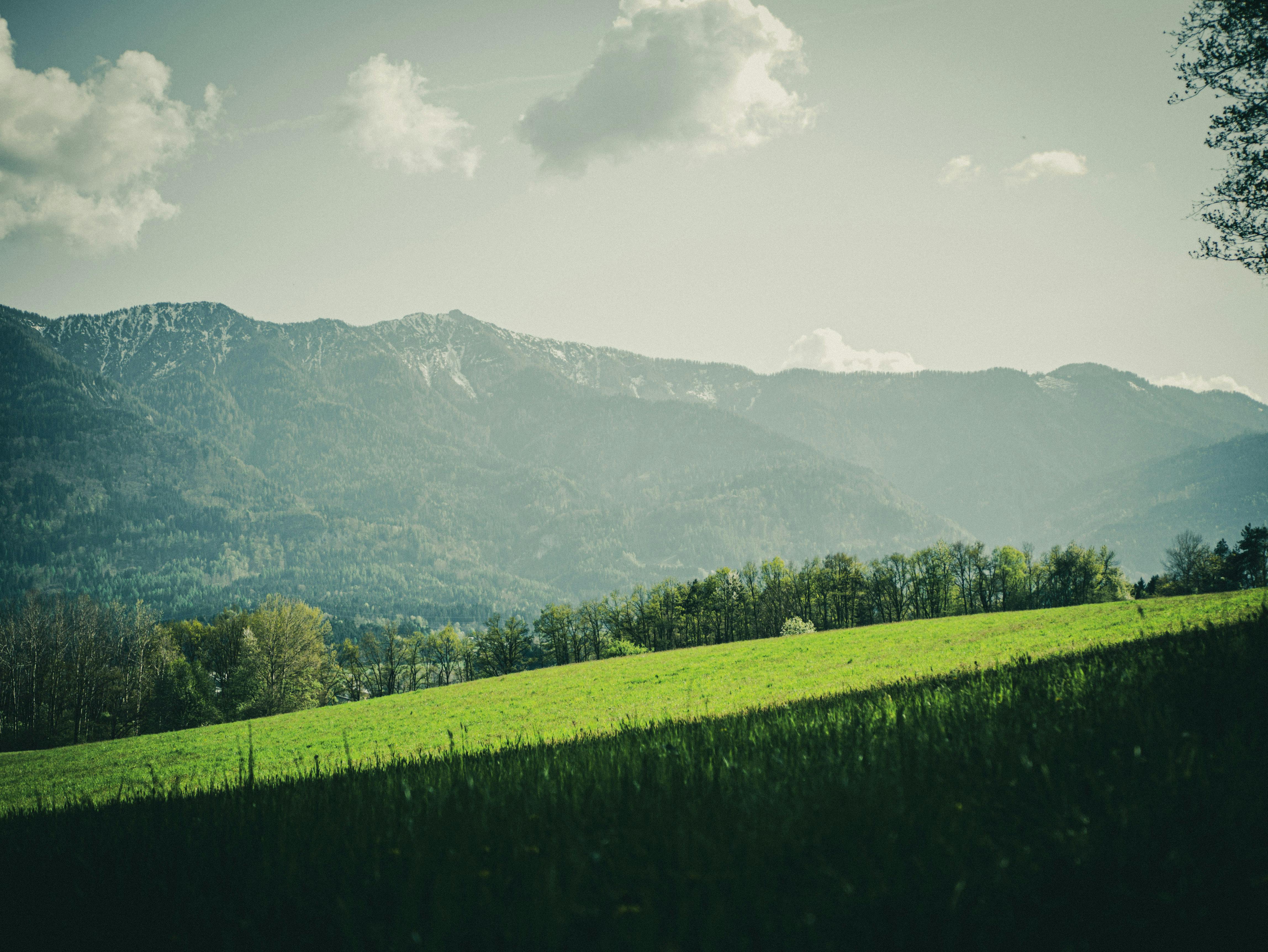 Field Hd Wallpaper Photos, Download The BEST Free Field Hd Wallpaper ...