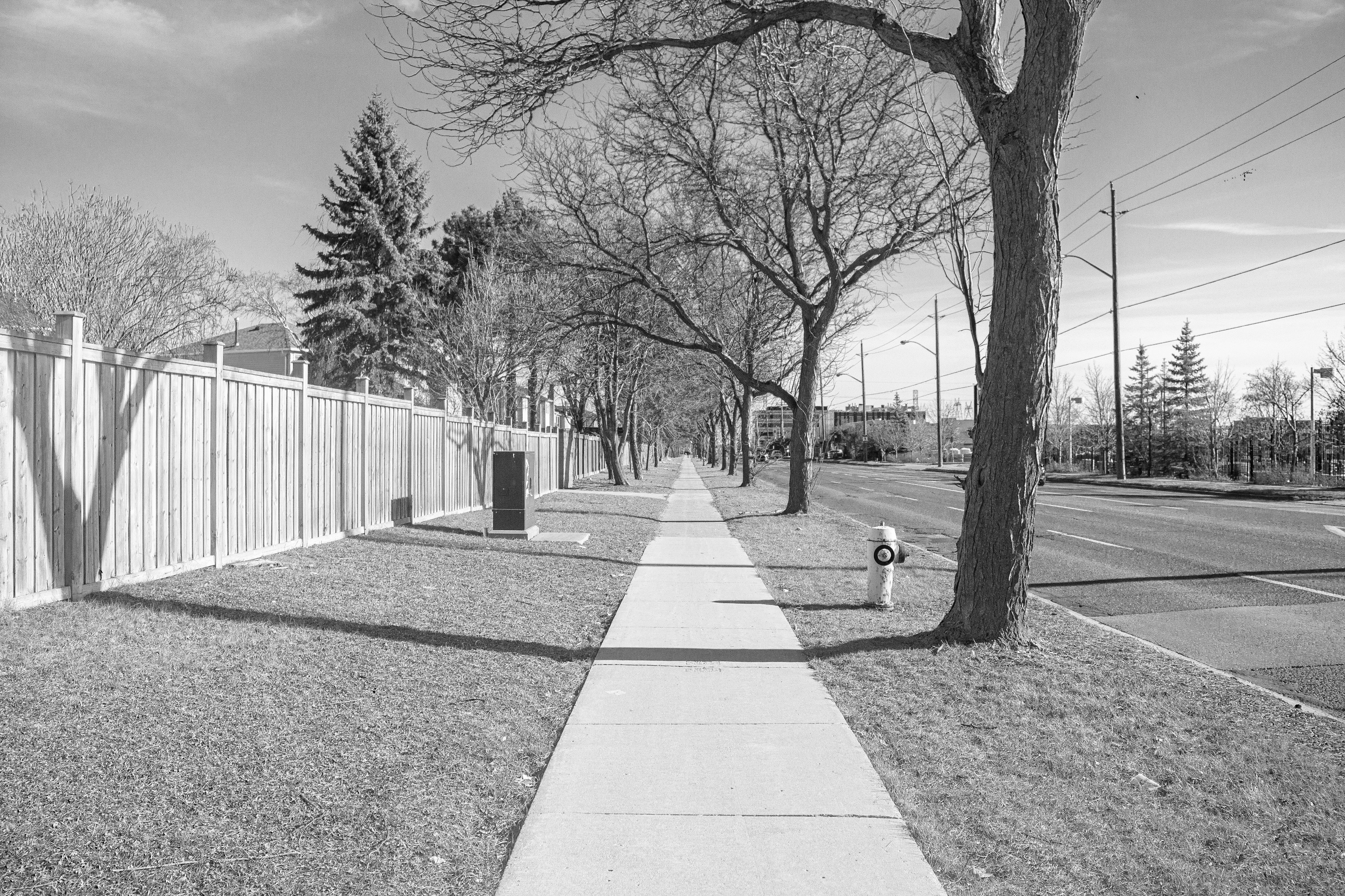 Narrow Sidewalk in Suburb · Free Stock Photo