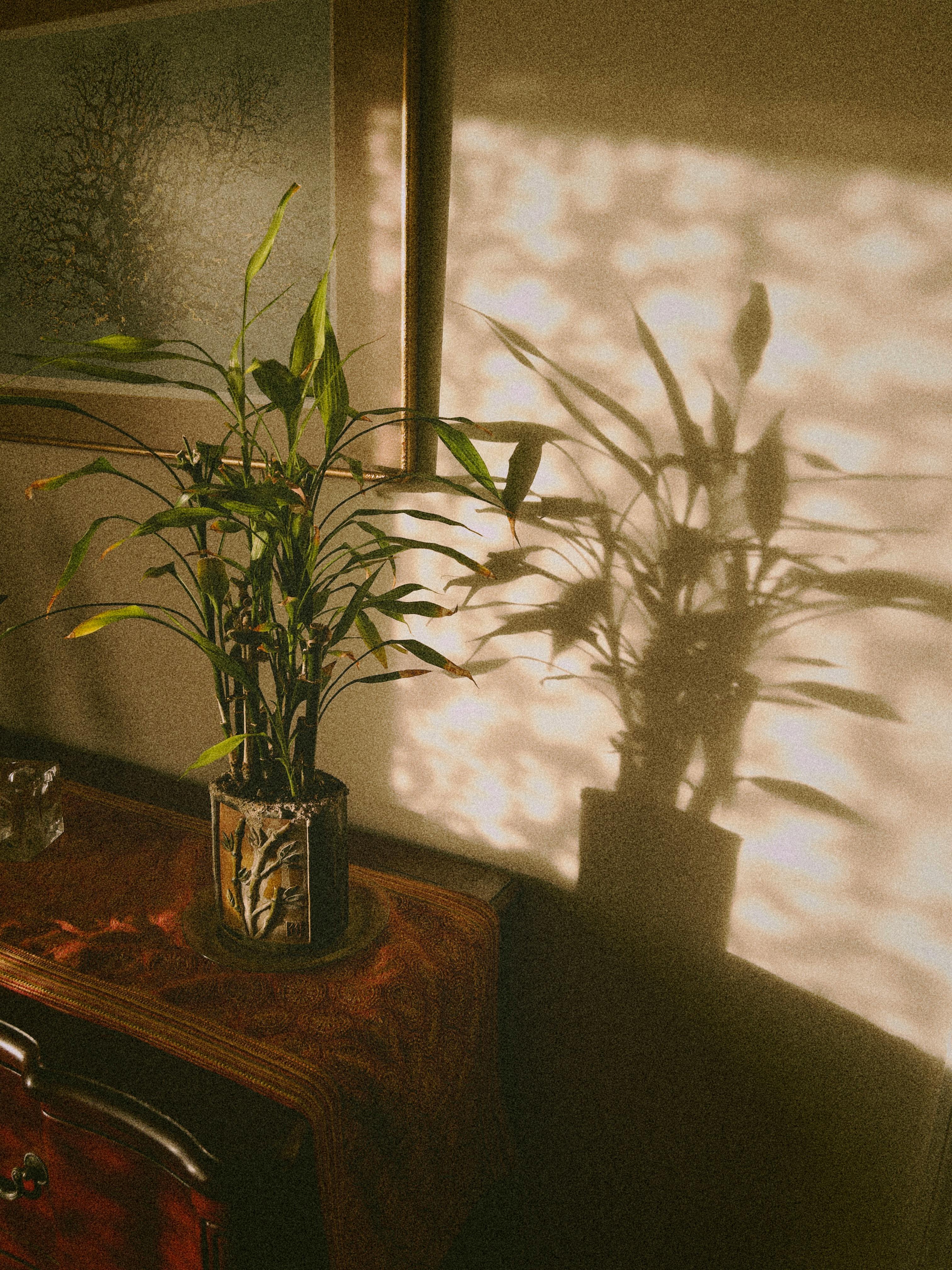 521+ Fotos y Imágenes de Fotografii casts Gratis · Banco de Fotos Gratis