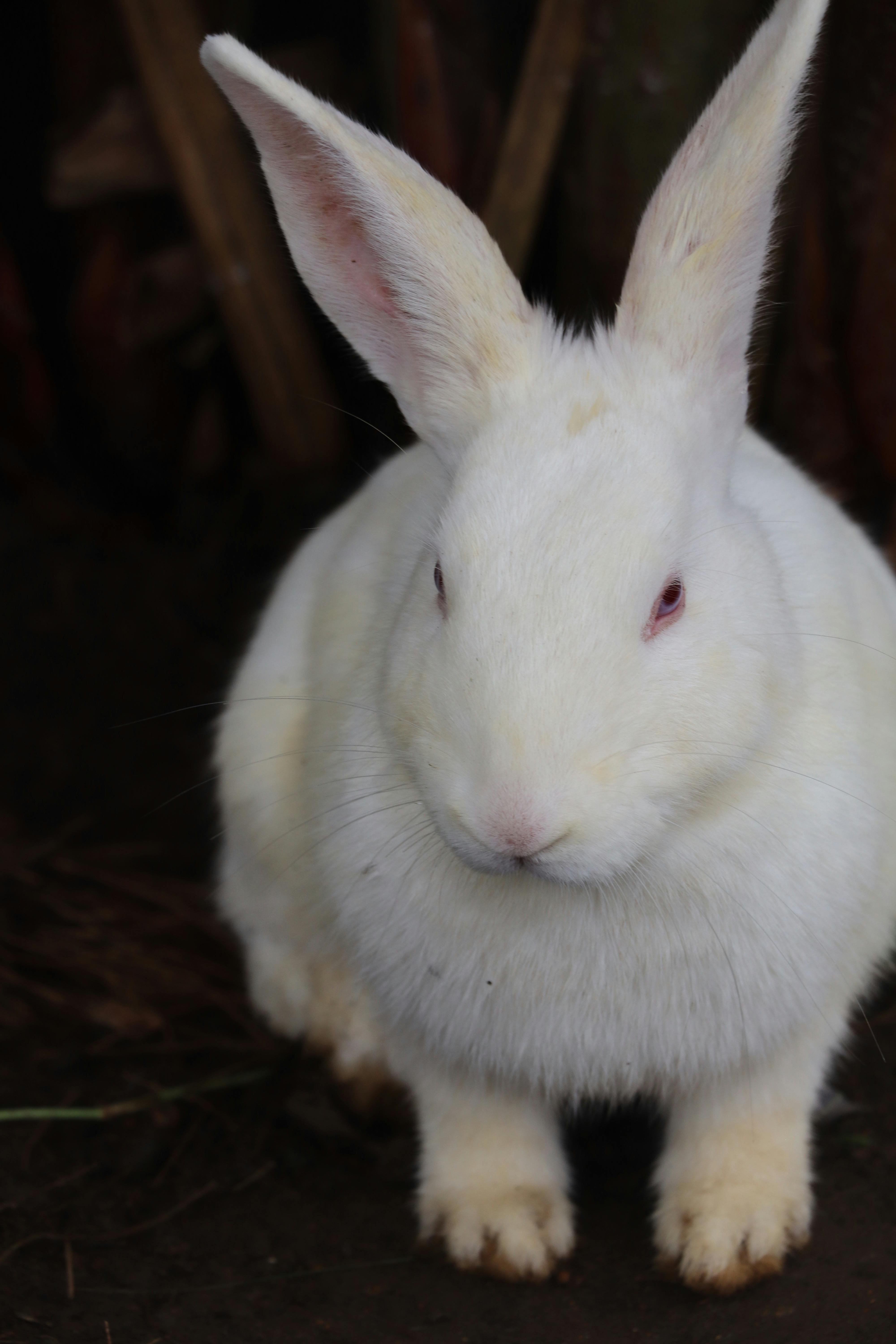 anupa anusas - Photography