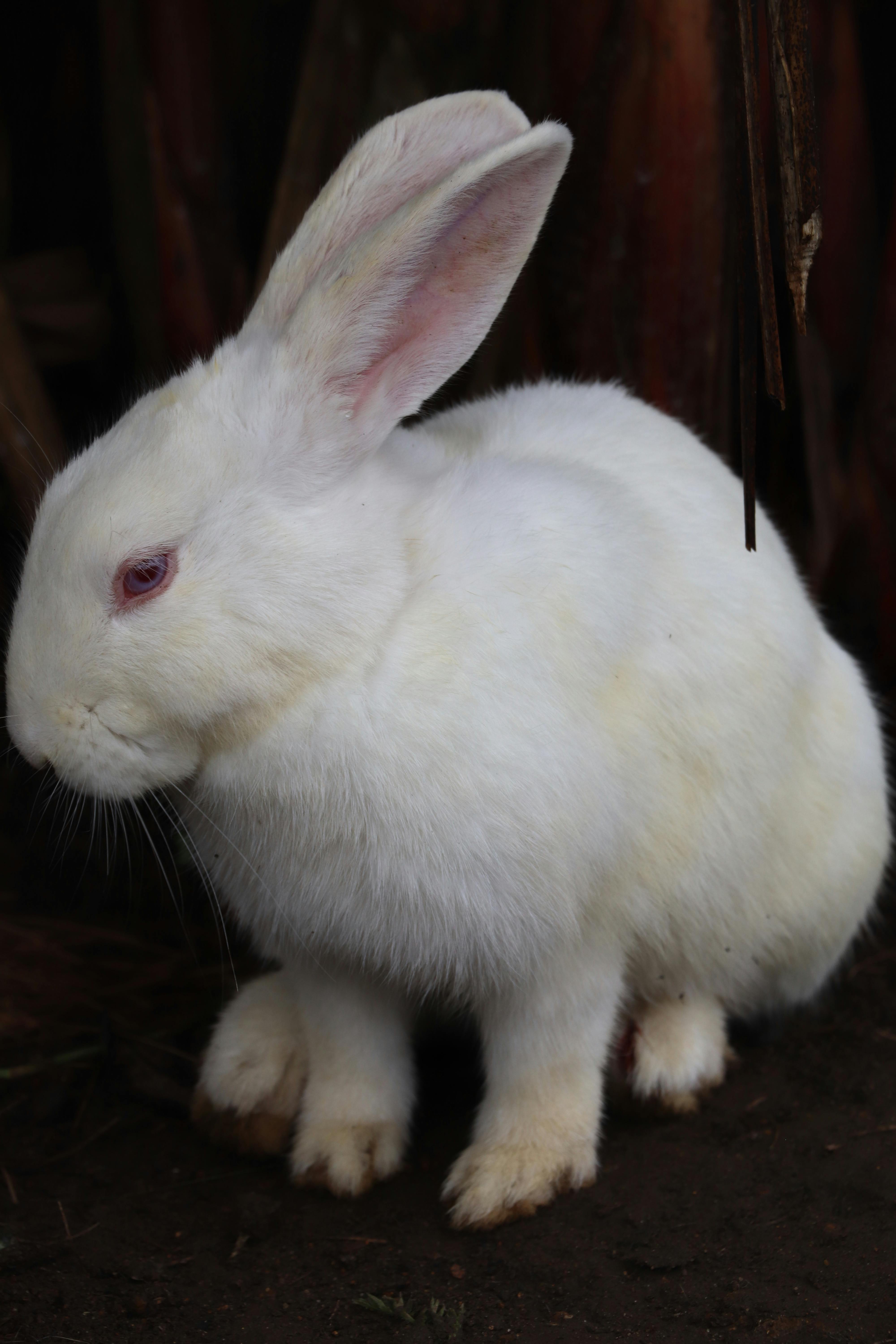 anupa anusas - Photography