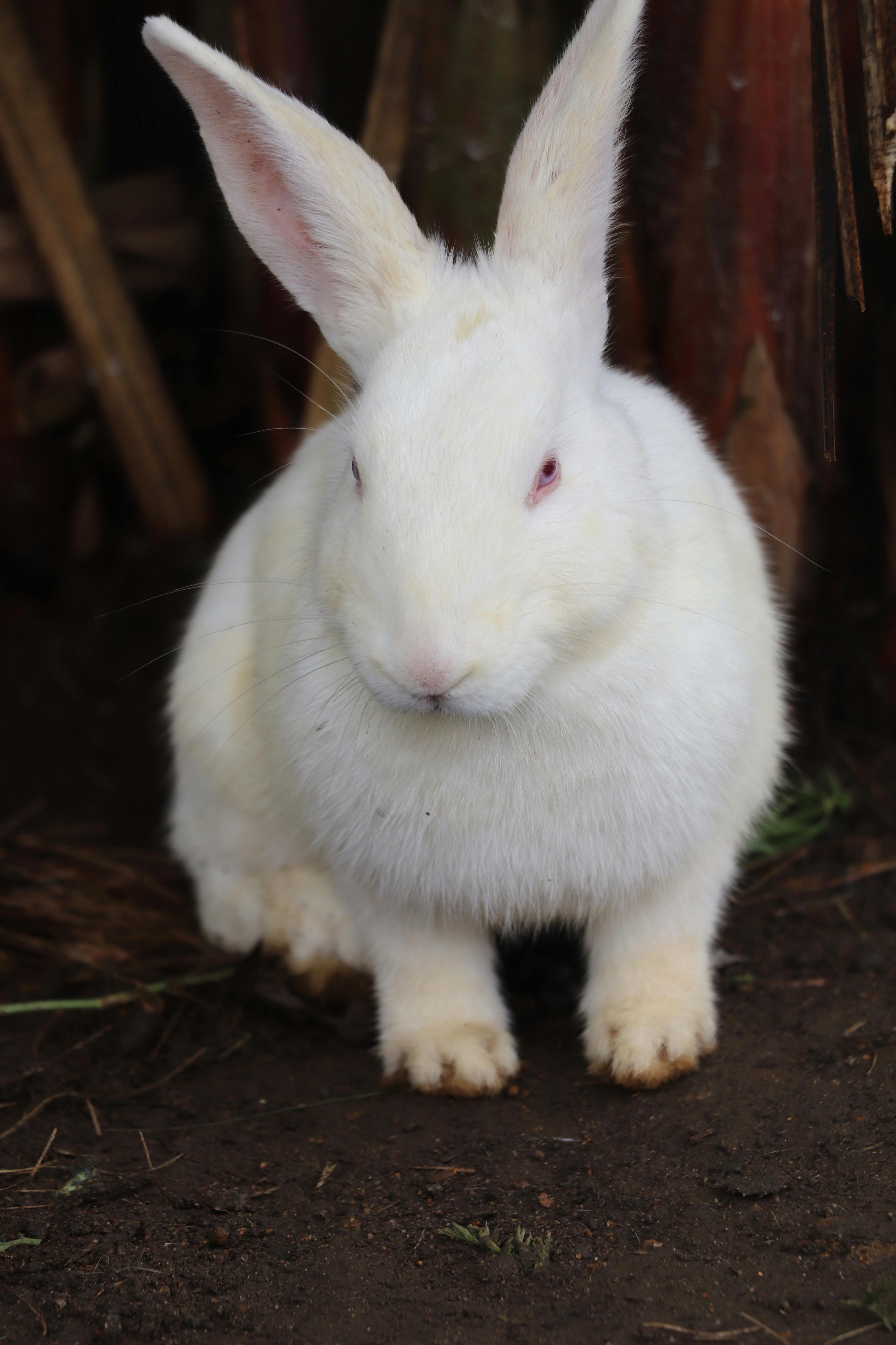 anupa anusas - Photography