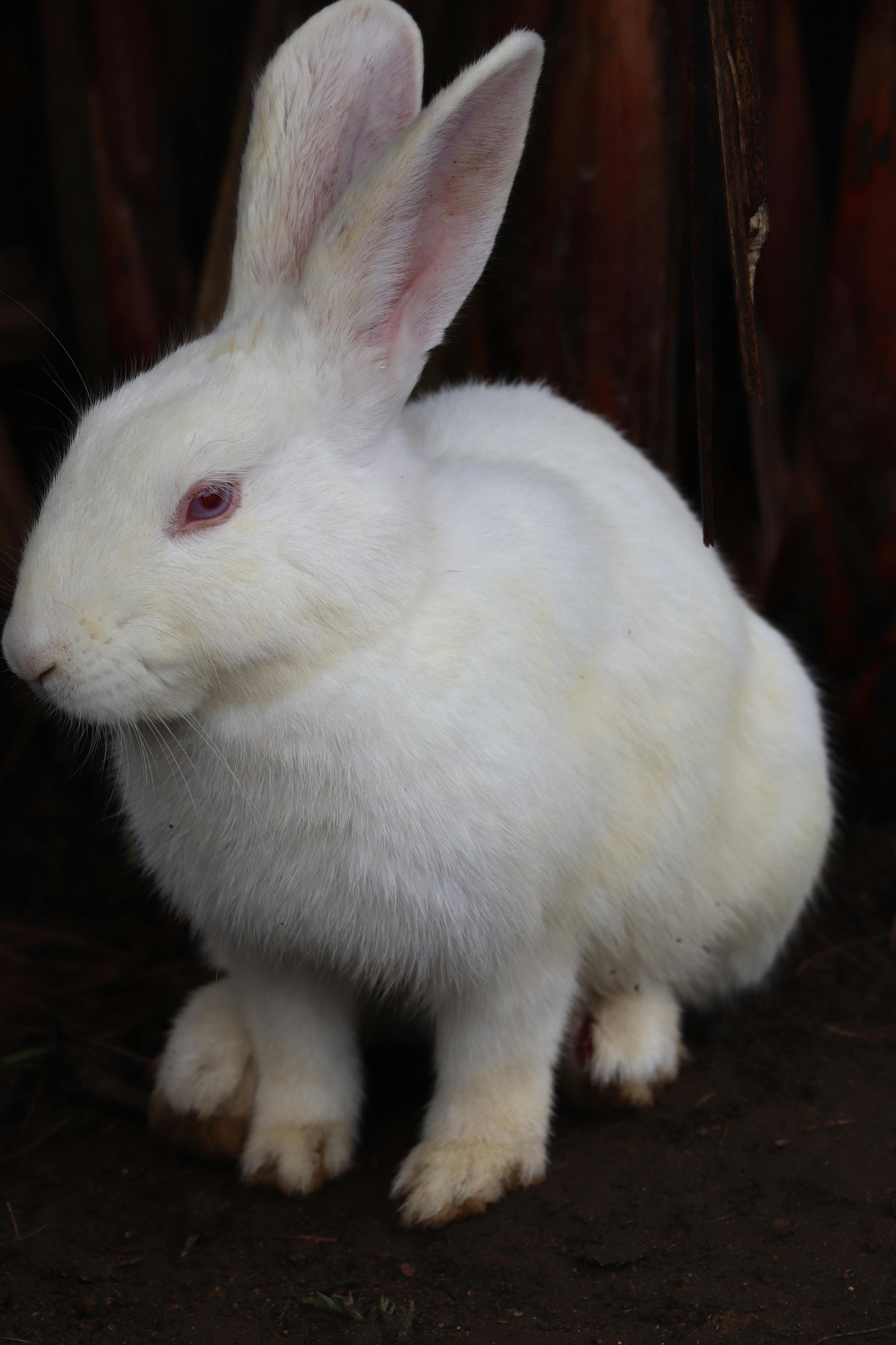 anupa anusas - Photography