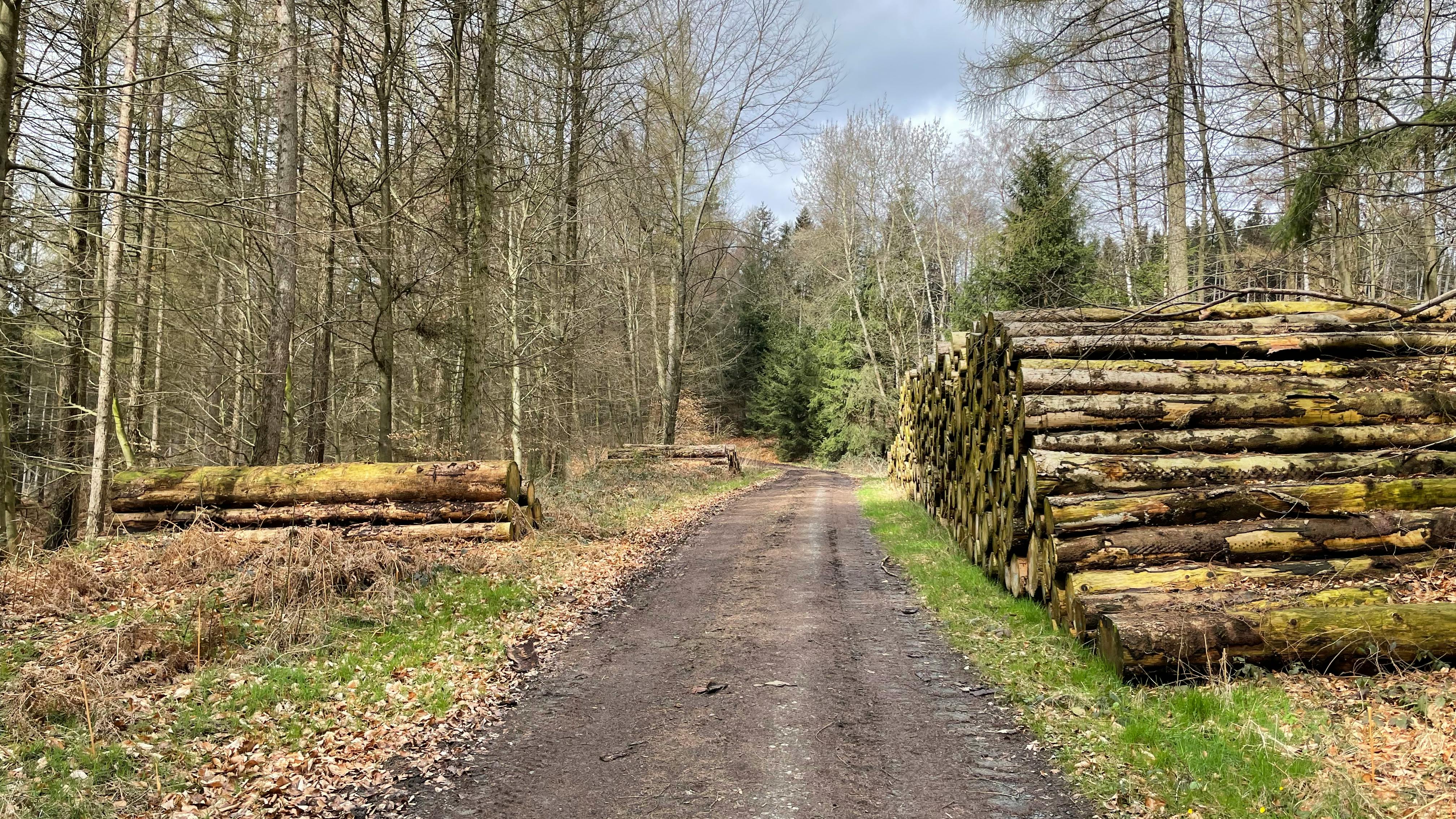 Timber Lunge Photos, Download The BEST Free Timber Lunge Stock Photos ...