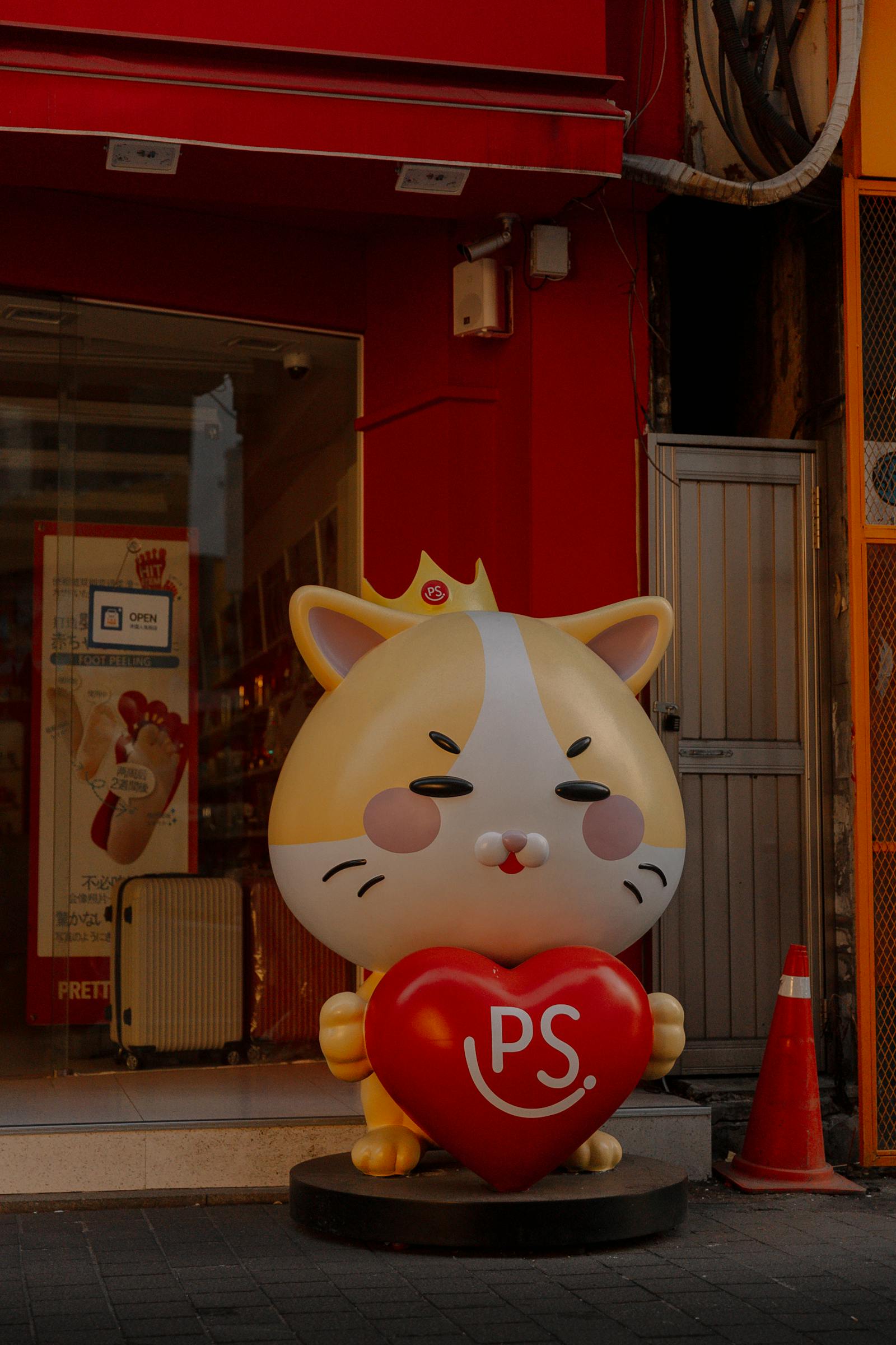 Cat Front View Photos, Download The BEST Free Cat Front View Stock ...