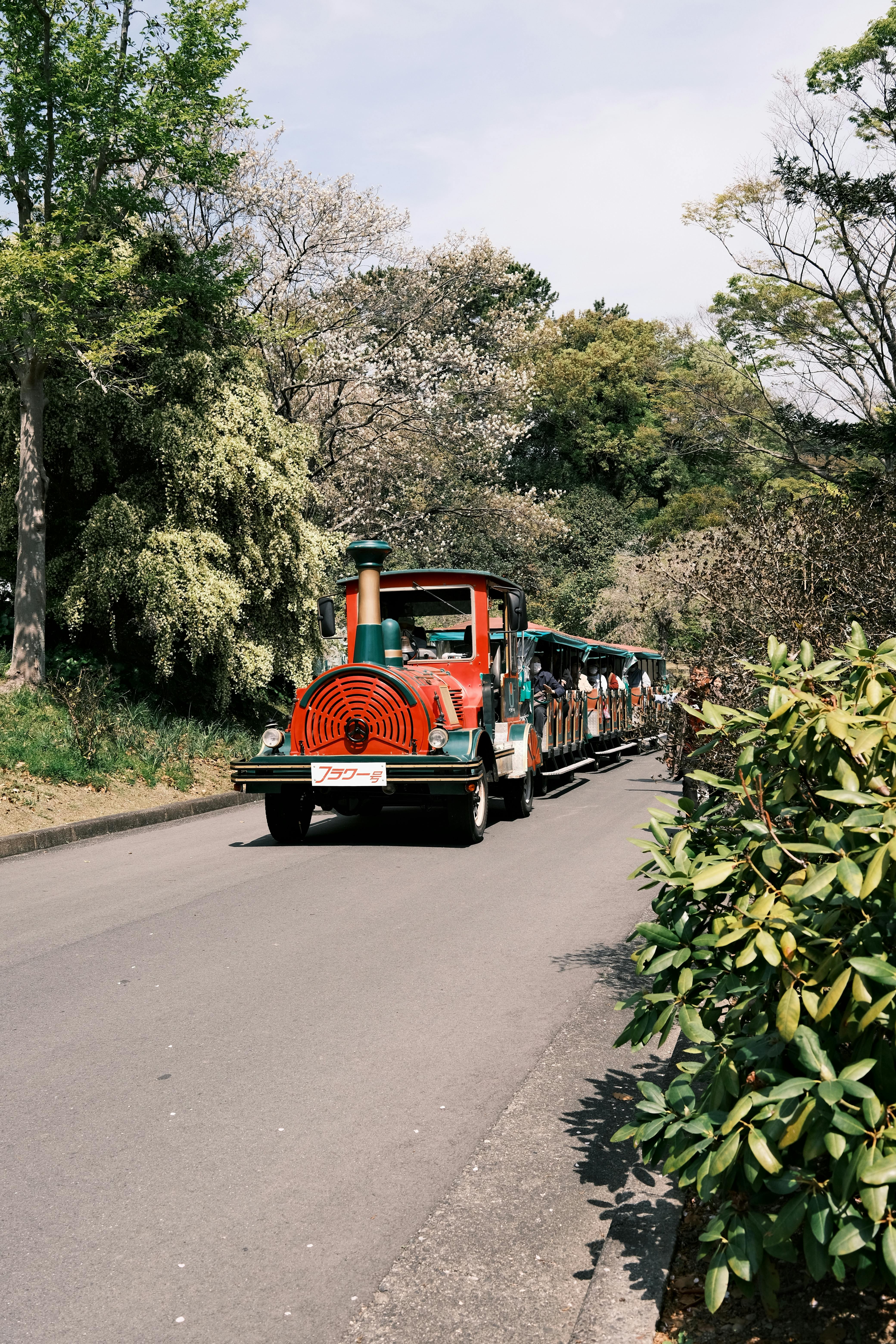 Train Car on Road in Forest in Japan · Free Stock Photo