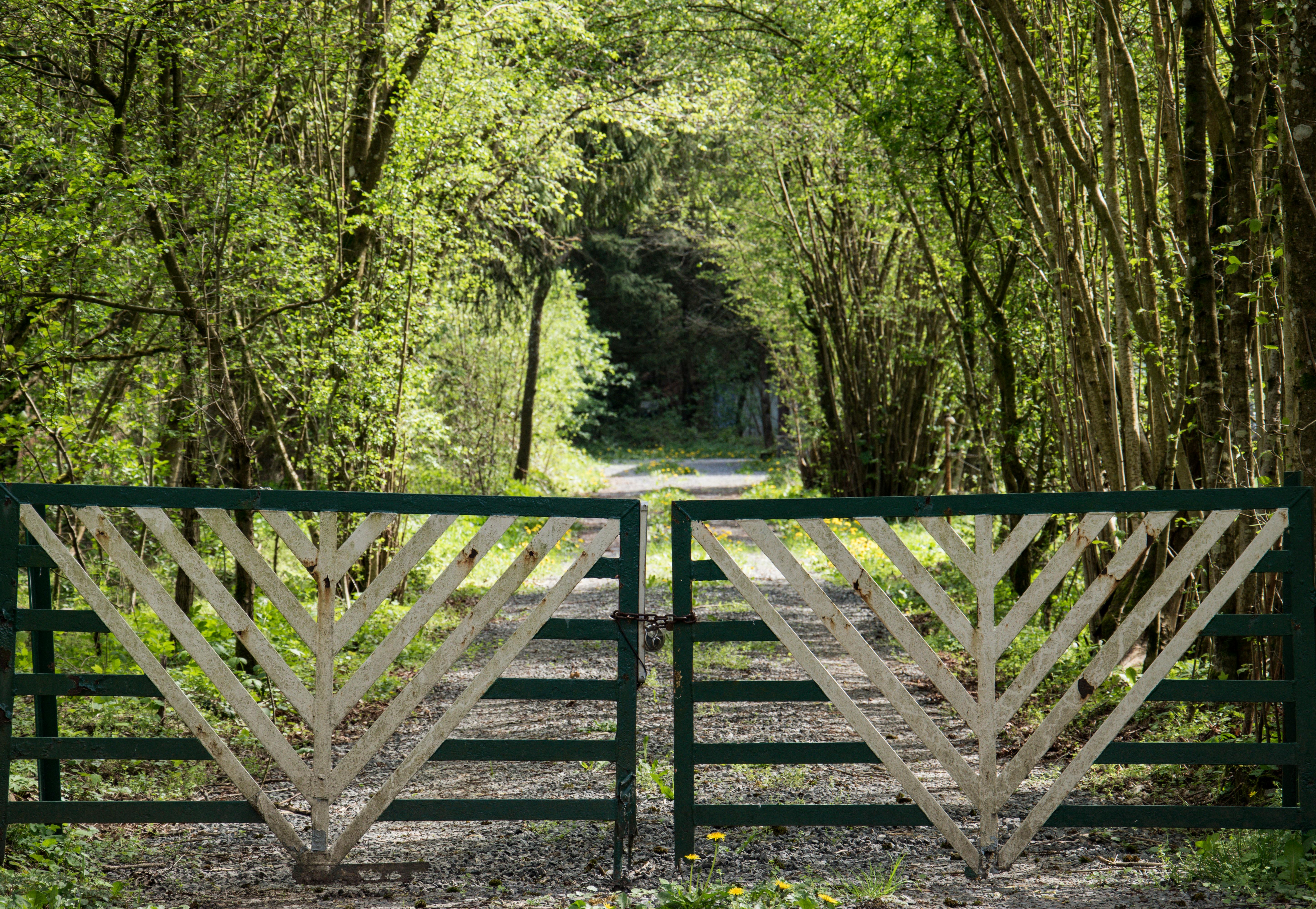 Rural Road with Gate · Free Stock Photo