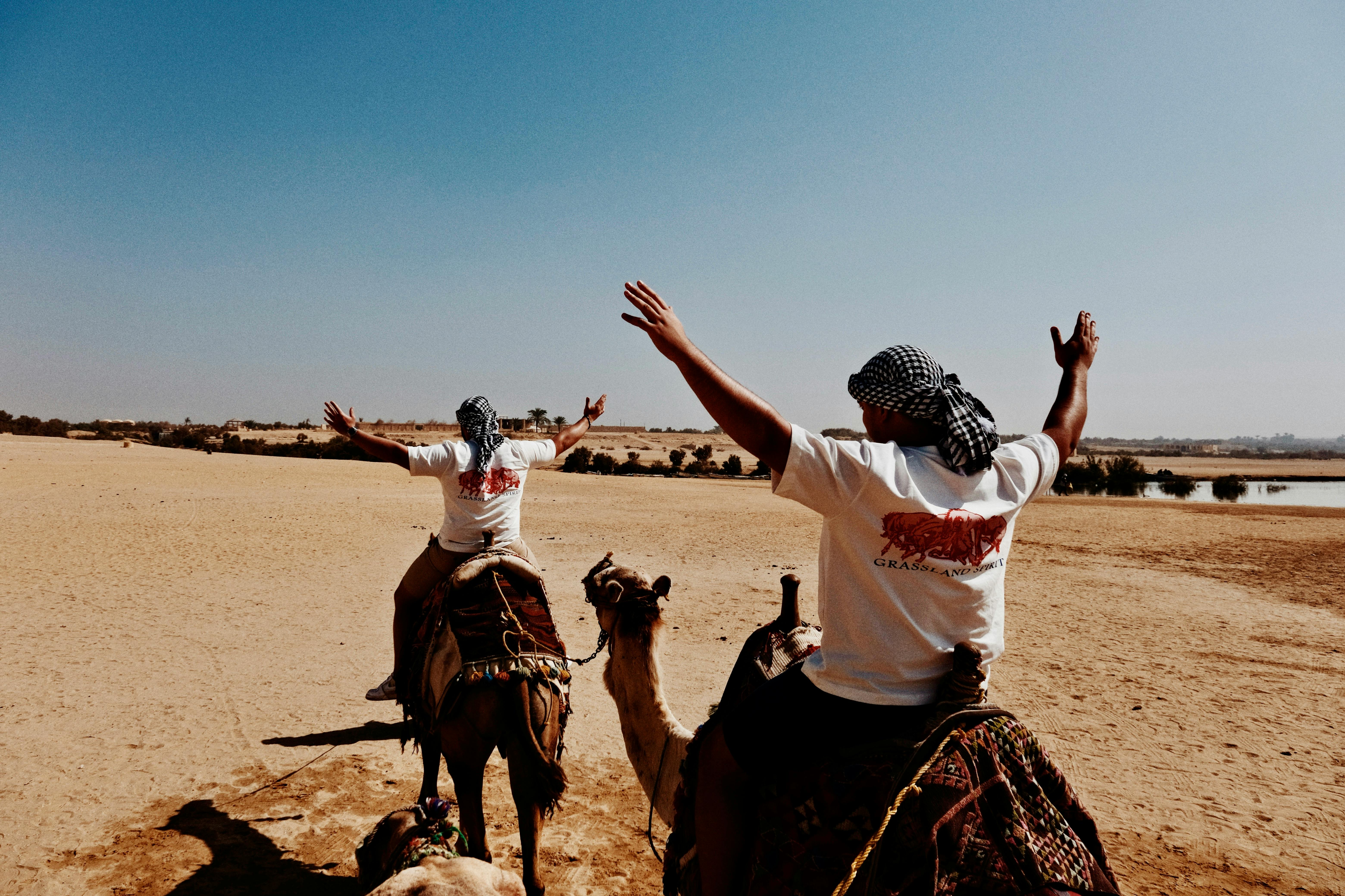 Sabre Camels Photos, Download The BEST Free Sabre Camels Stock Photos ...