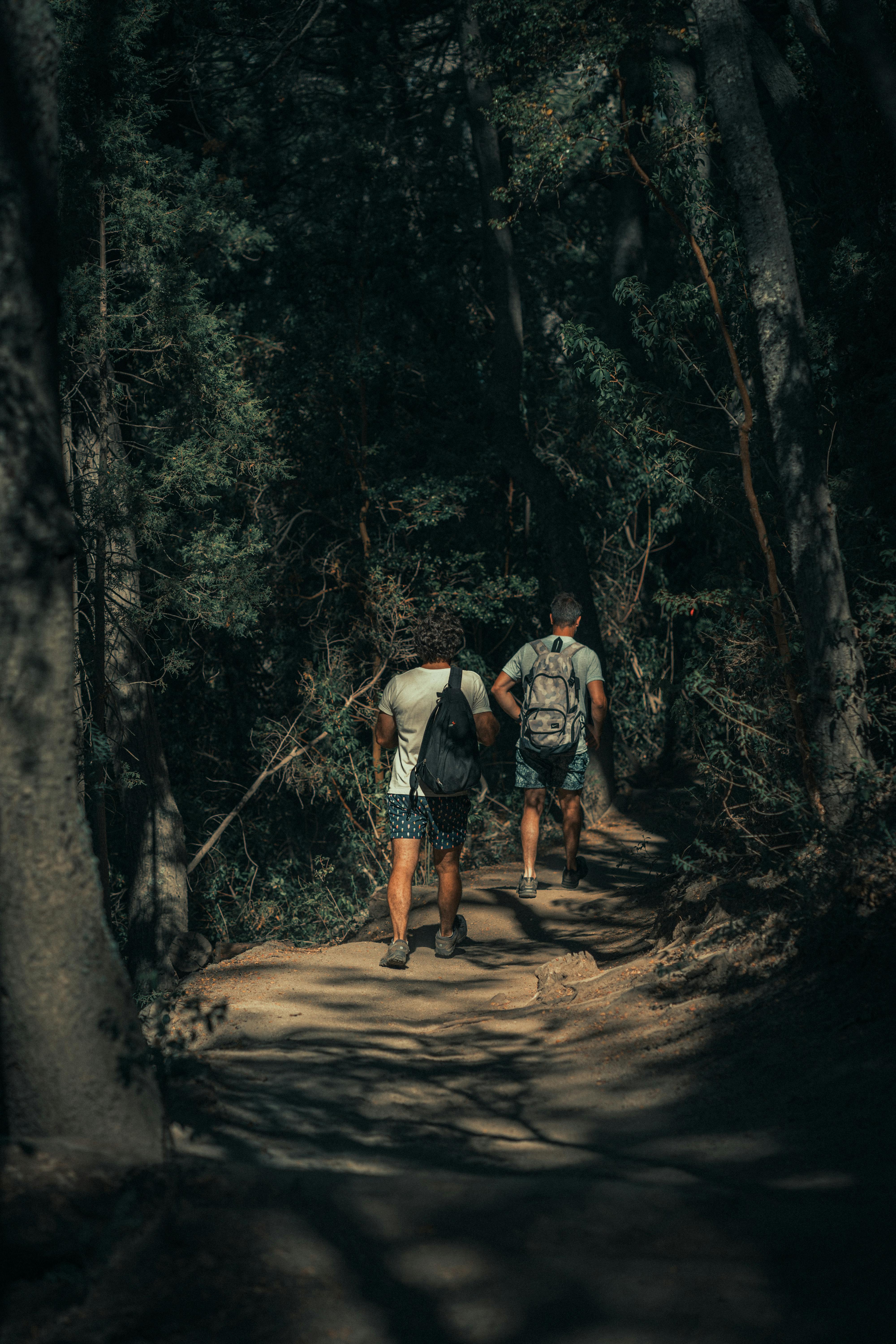 Back View of Two Men with Backpacks Walking in a Forest · Free Stock Photo