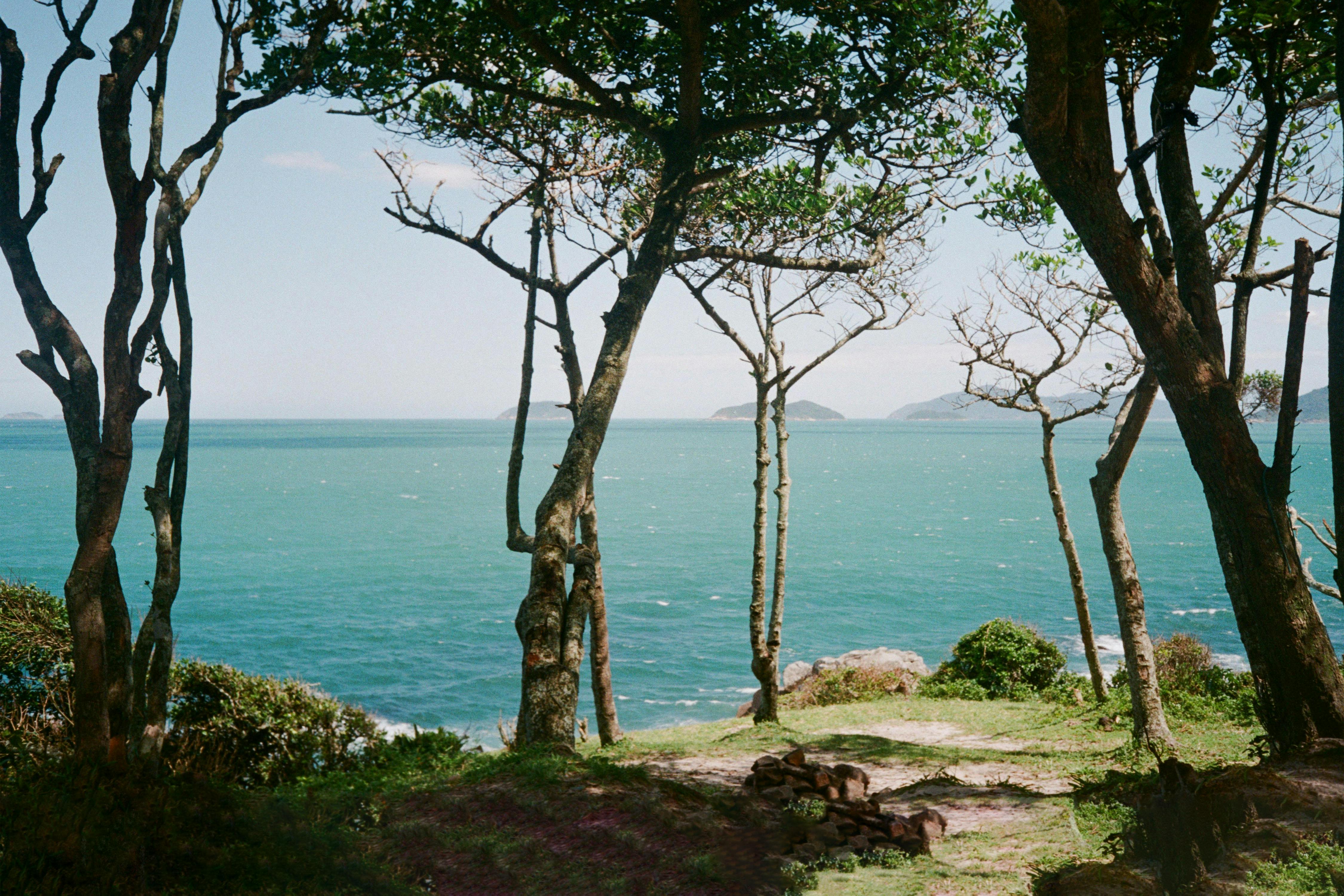 Forbidden Beauty Photos, Download The BEST Free Forbidden Beauty Stock ...