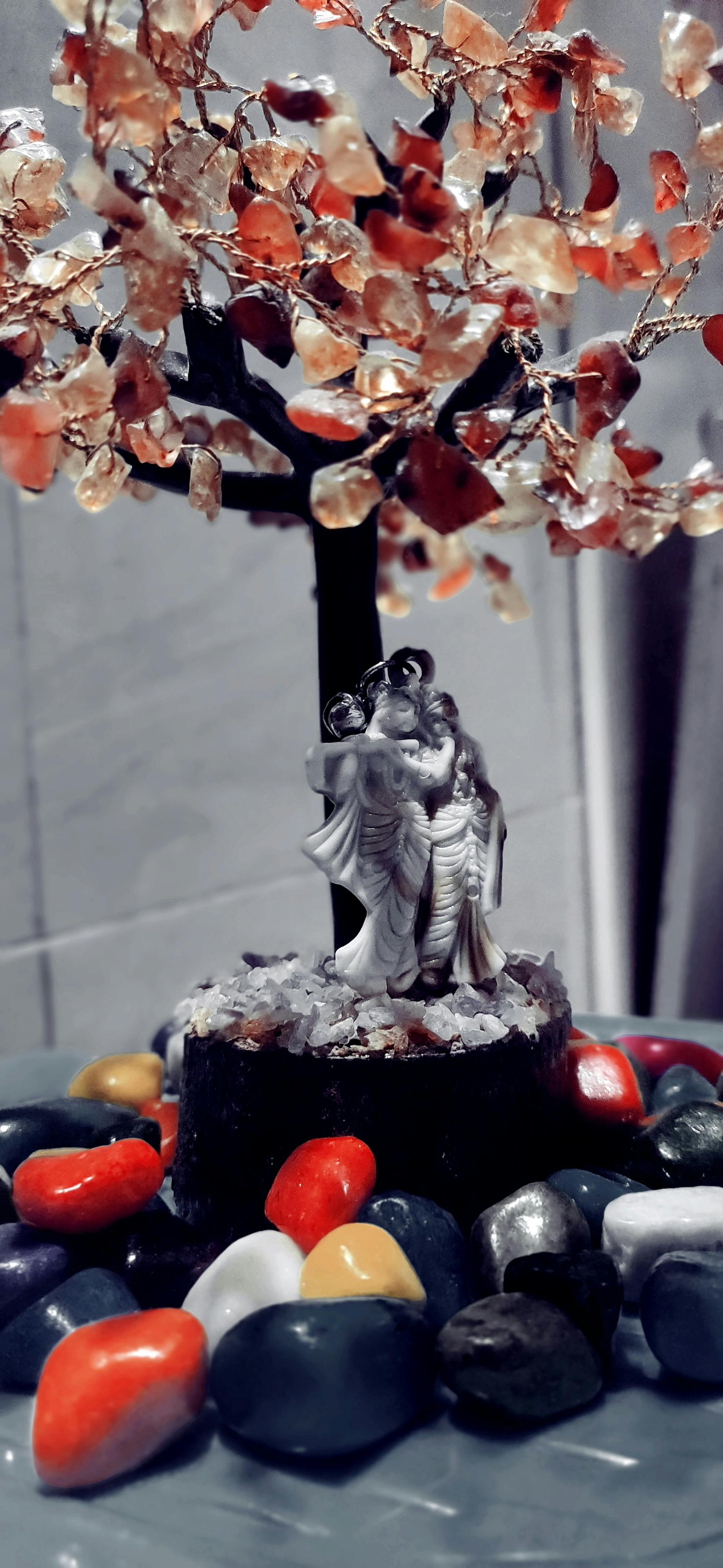 Aditya Rai - Photography