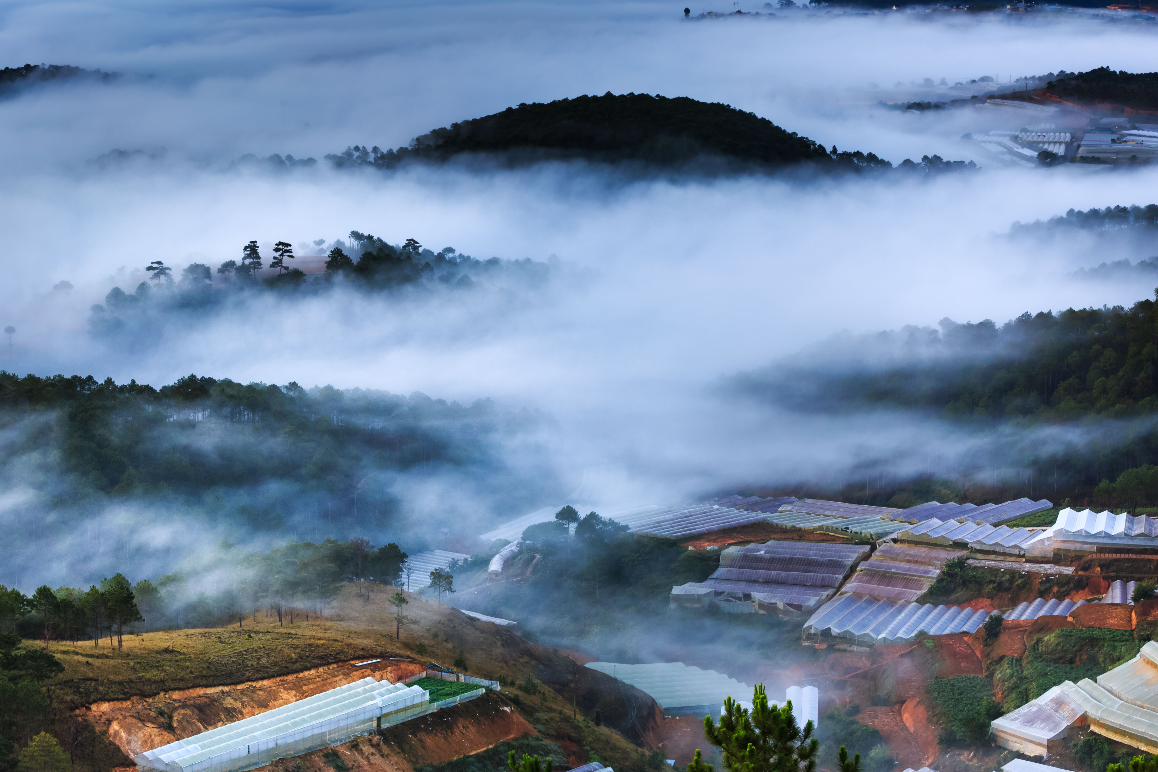 Foggy Mountain Scenery · Free Stock Photo